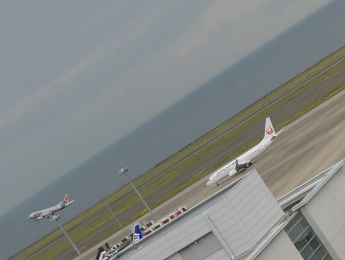 セントレアホテルin🤗 夕飯難民になり... / 摩利支天（まりしてん）さんのモーメント | YAMAP / ヤマップ