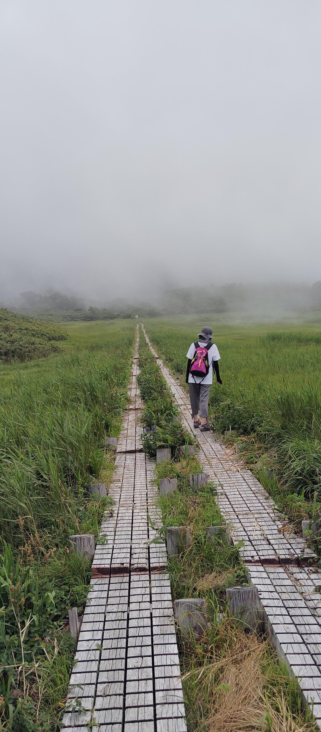 夏の思いdays、そして祓川散策-08-18 / 笹ジッコさんの登山の活動データ | YAMAP / ヤマップ