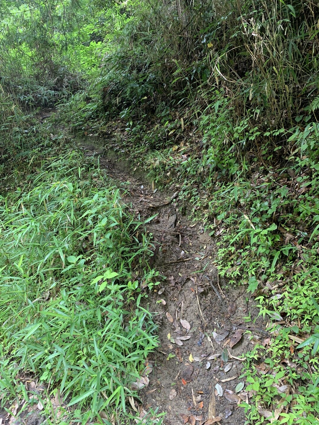 nonpui(ノンプイ)さんの投稿したフィールドメモ | YAMAP / ヤマップ