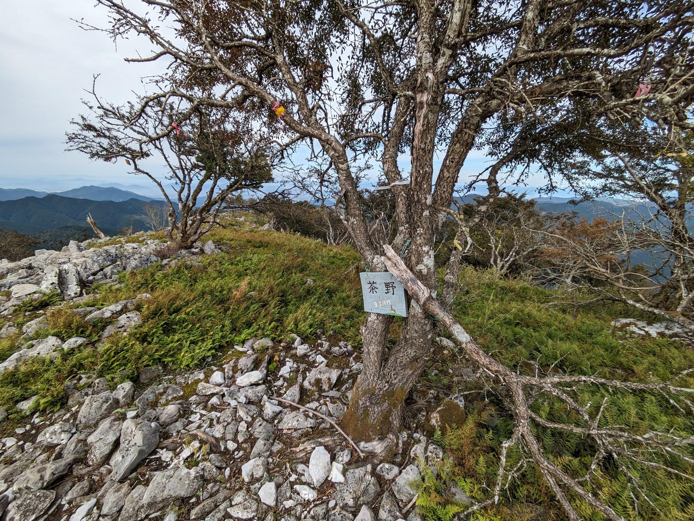 鈴北岳・鈴ヶ岳・茶野・御池岳 2023/10/14 / ryuさんの天狗堂の活動データ | YAMAP / ヤマップ
