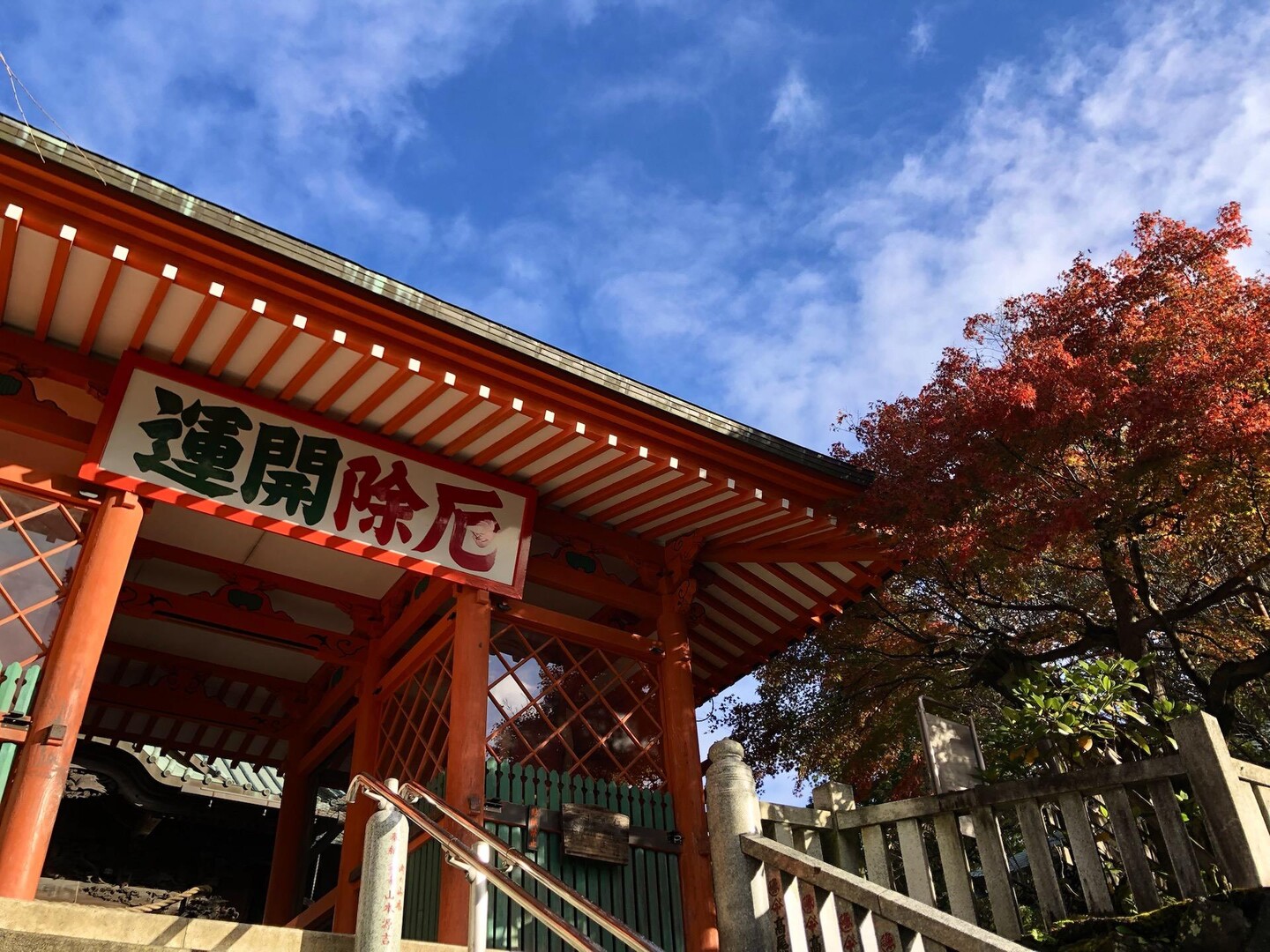初めての高尾山🍁 / なっくさんの高尾山・陣馬山・景信山の活動日記 | YAMAP / ヤマップ
