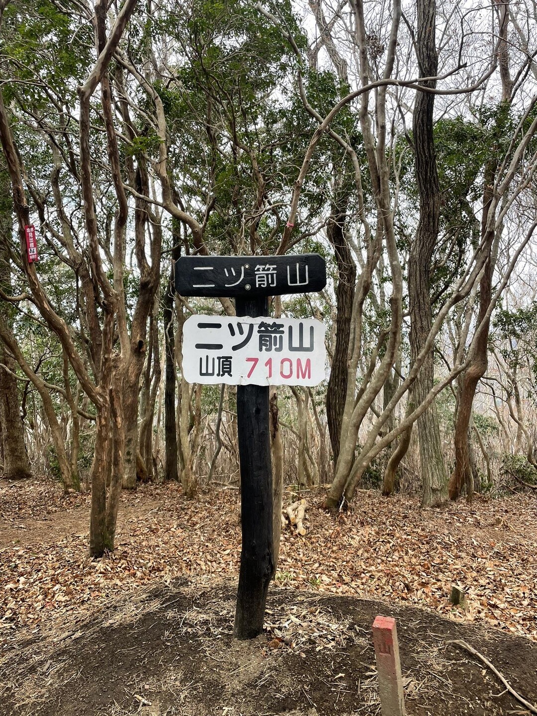 男体山・女体山・二ッ箭山・月山 / mokumokuさんの二ッ箭山・三森山・猫鳴山の活動データ | YAMAP / ヤマップ