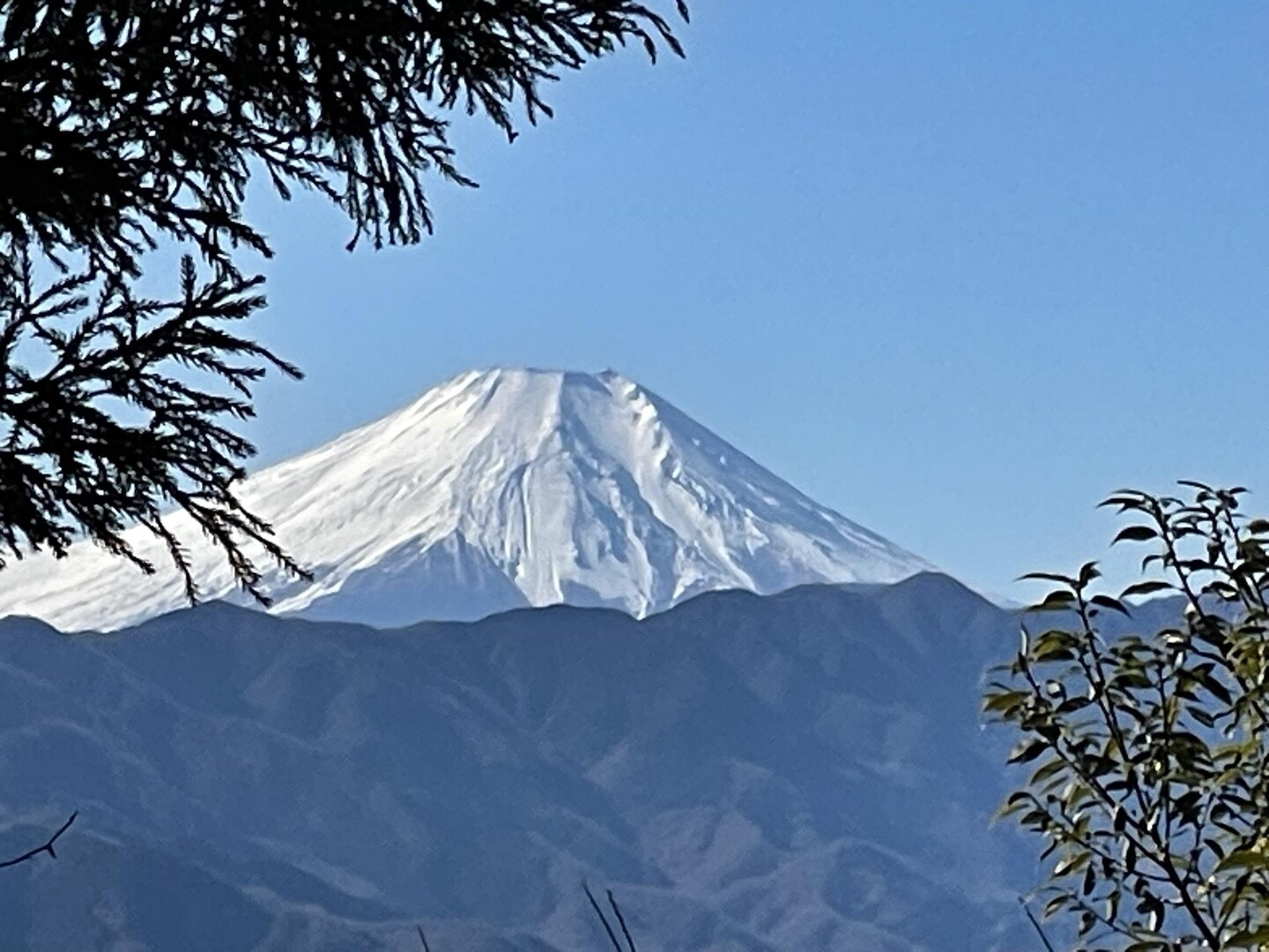 城山（小仏城山）・雷岩山・春日山・高尾山・神変山 / Takanoさんの高尾山・陣馬山・景信山の活動データ | YAMAP / ヤマップ