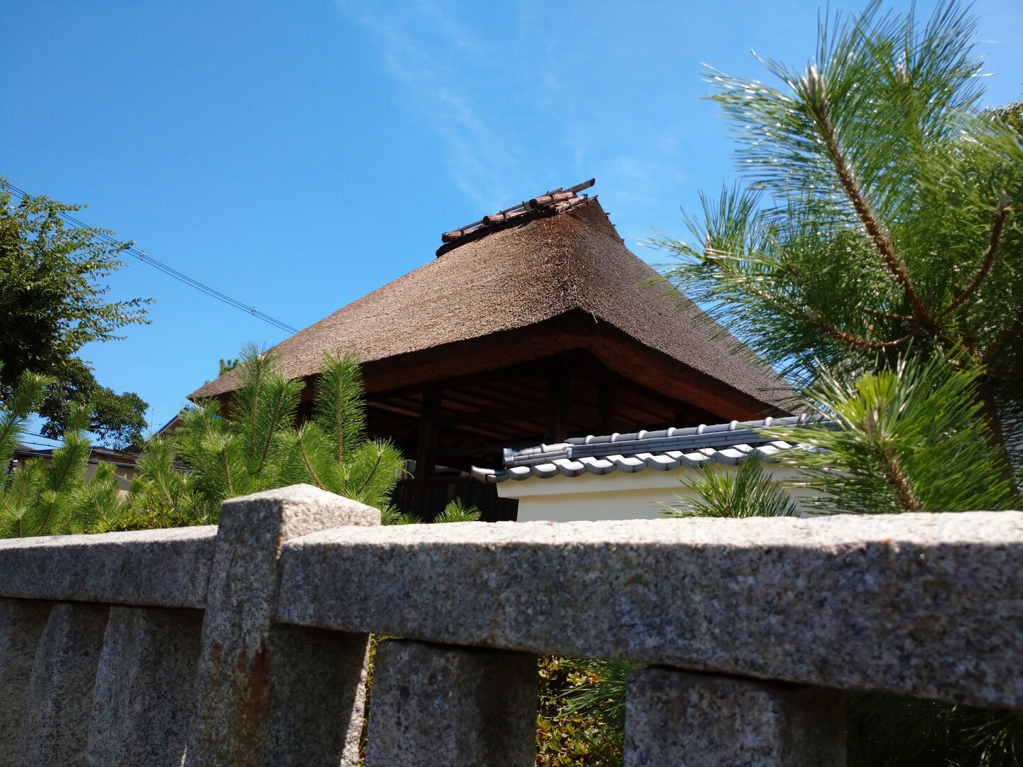交野市散策・山の根の道-2021-07-24 / chonpsさんの交野山・国見山の活動データ | YAMAP / ヤマップ