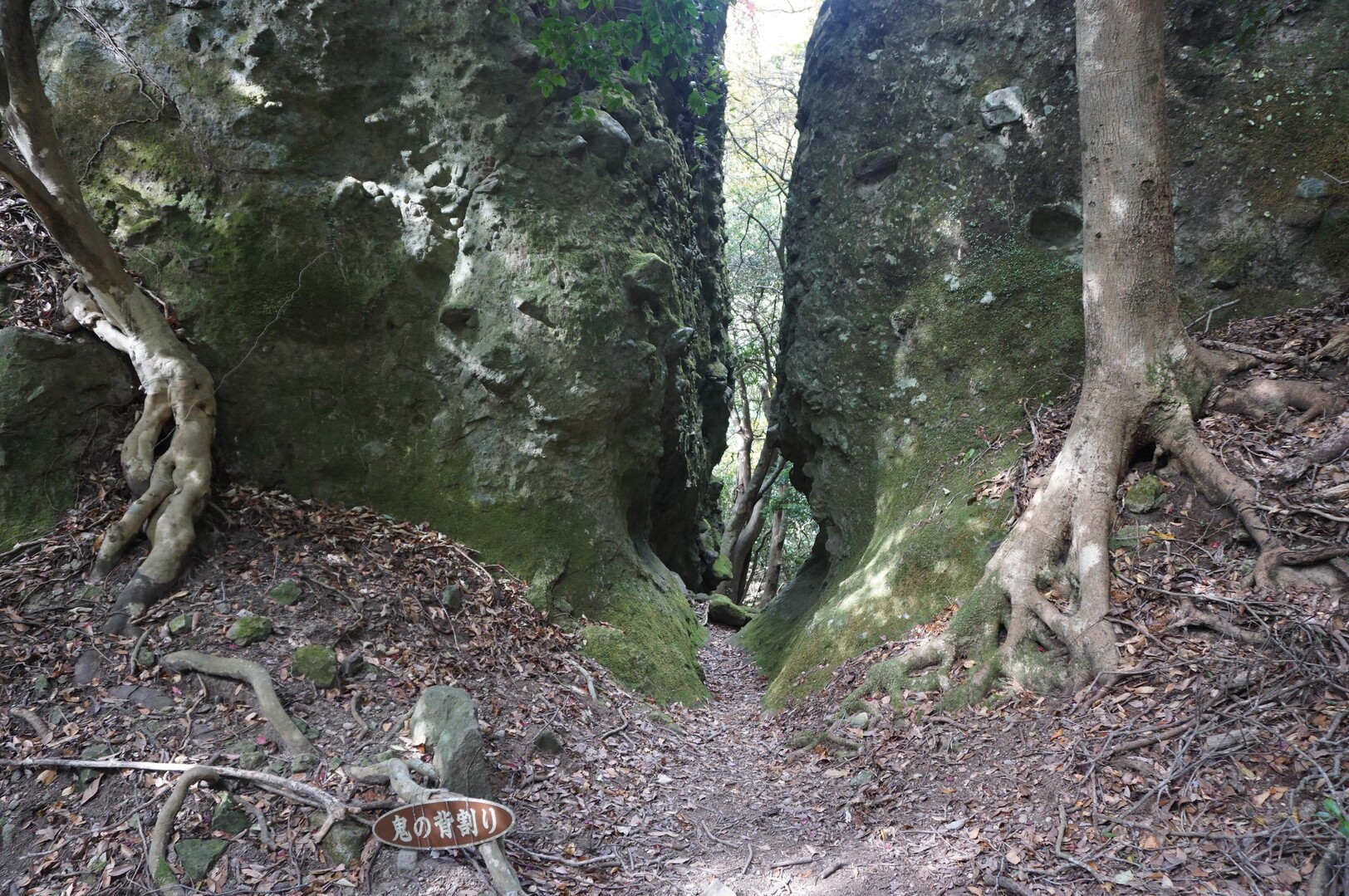 J-BOYさんの投稿したフィールドメモ | YAMAP / ヤマップ