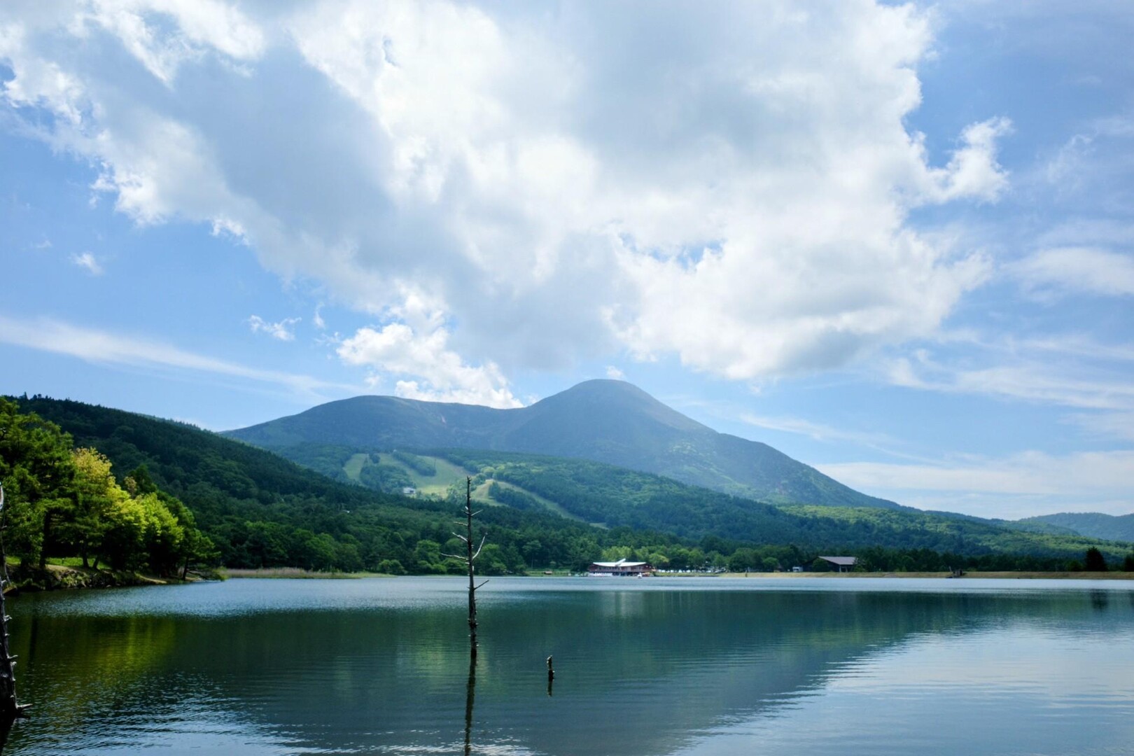 七合目登山口〜蓼科山 2024.6.15 / masa.OH!さんの蓼科山・横岳・縞枯山の活動データ | YAMAP / ヤマップ