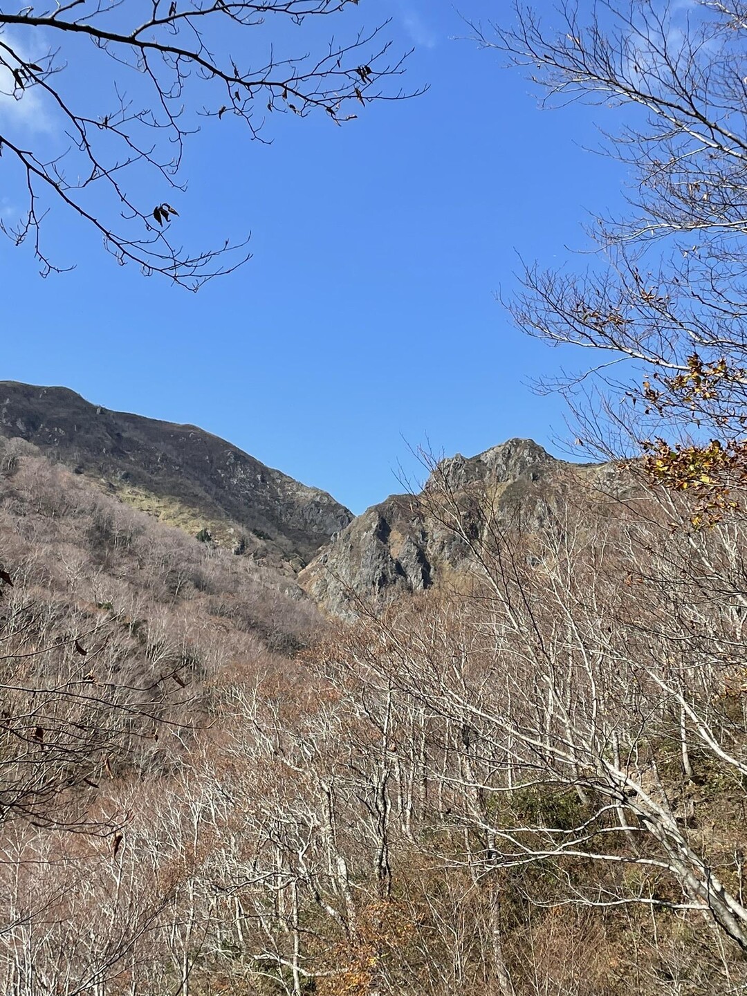 夜叉ヶ池 / kamaさんのウォーキングの活動データ | YAMAP / ヤマップ