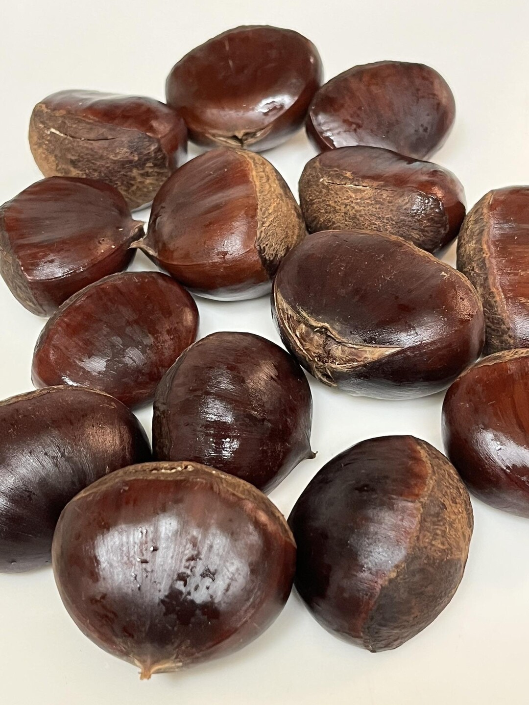 今年初の栗🌰を頂きました♪ 大きな栗で... / samさんのモーメント | YAMAP / ヤマップ