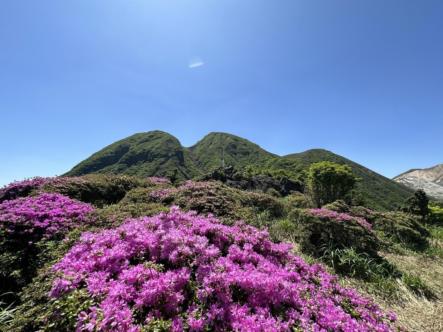指山 / tiroさんの九重山（久住山）・大船山・星生山の活動データ | YAMAP / ヤマップ