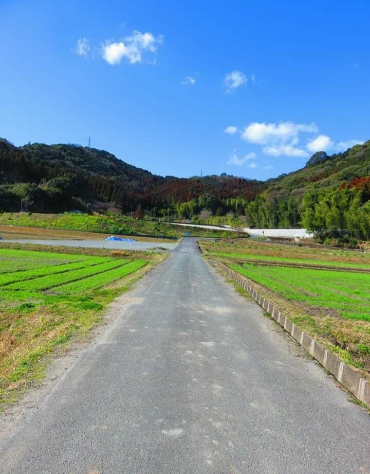 一本道 https://youtu.be... / コックンさんのモーメント | YAMAP / ヤマップ