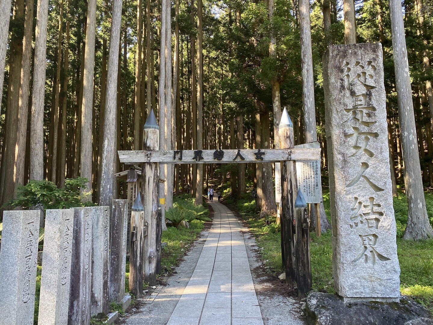 山上ヶ岳↔️大普賢岳 お参り〜 / はっぱ(R)さんの観音峯山・大普賢岳・山上ヶ岳・稲村ヶ岳の活動データ | YAMAP / ヤマップ