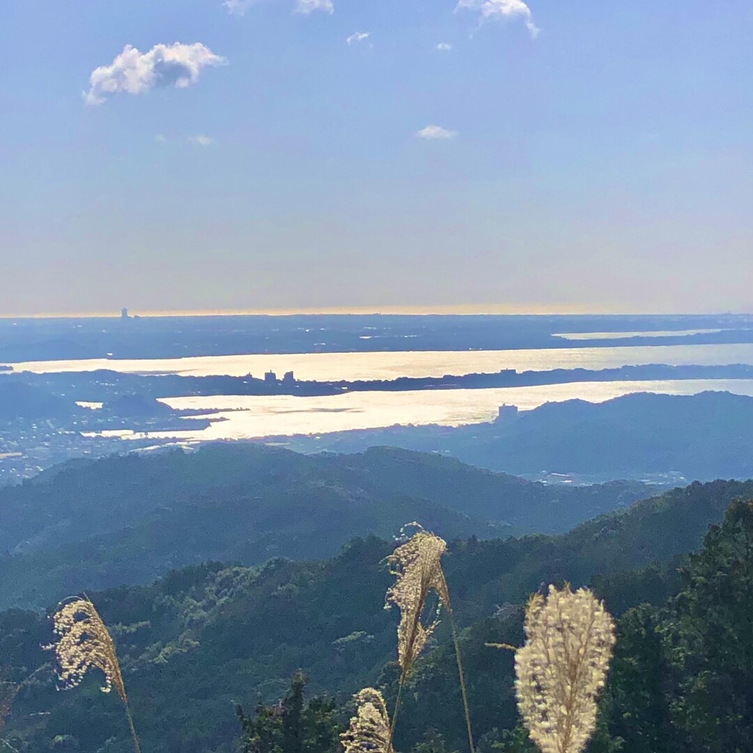 湖西最高峰〜平尾山と五葉城址 / gakuさんの坊ヶ峰・石巻山・神石山・葦毛湿原の活動データ | YAMAP / ヤマップ