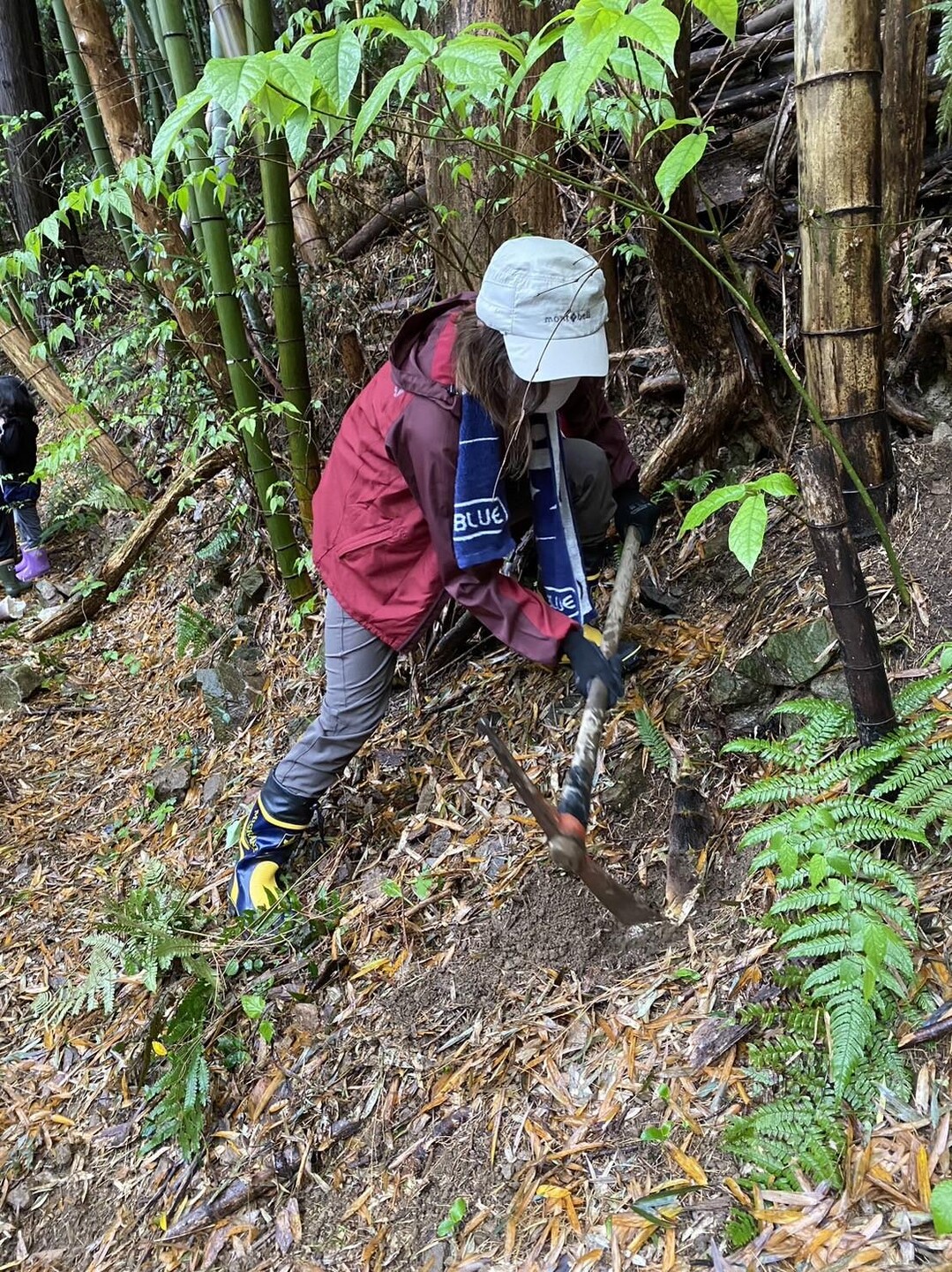 今年も筍掘りに行ってきました。 1時間ほ... / y☆shiさんのモーメント | YAMAP / ヤマップ