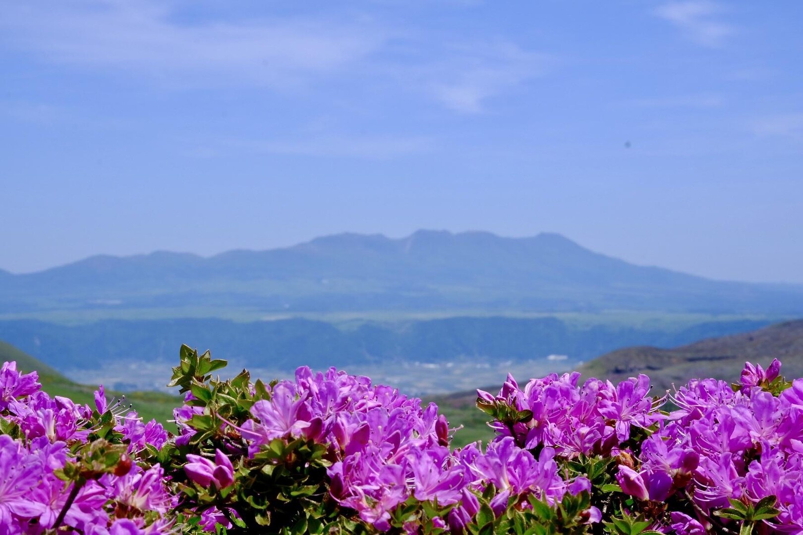 今年もミヤマキリシマを愛でに烏帽子岳へ🌸💕 / Mihoさんの阿蘇山・高岳・根子岳の活動日記 | YAMAP / ヤマップ