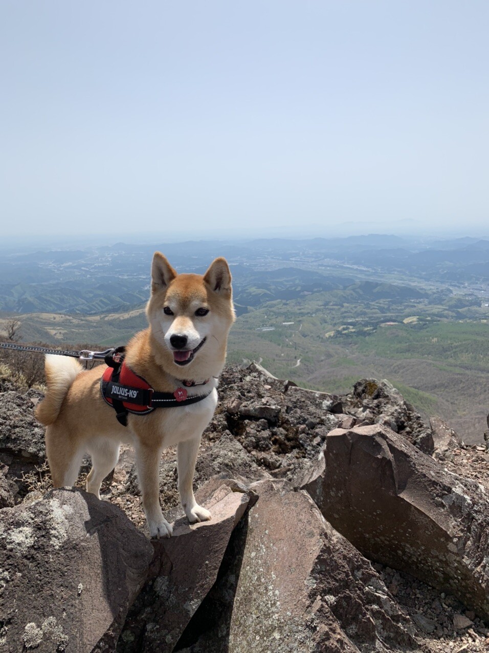 ・p_natsu のページ | YAMAP / ヤマップ