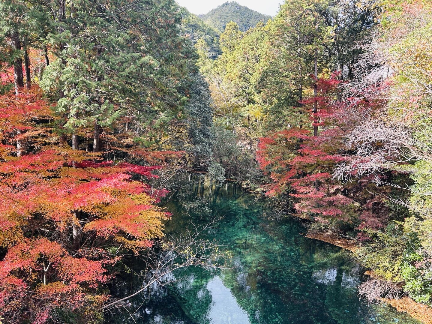 百畳岩・上臈岩 / edaさんの宇連山・鳳来寺山・岩古谷山の活動データ | YAMAP / ヤマップ