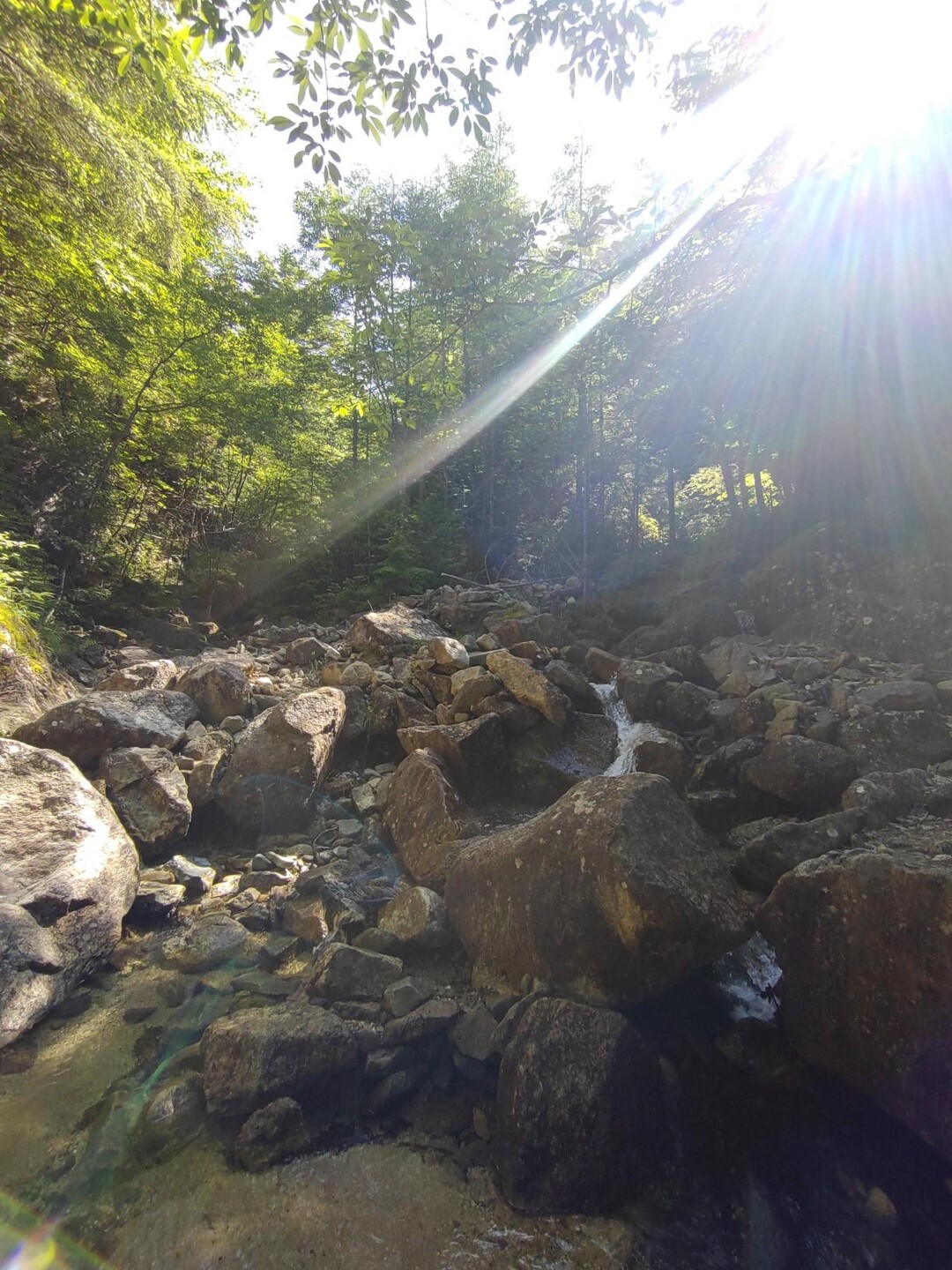 瑞牆山＃1 / goodsunさんの瑞牆山・金峰山の活動データ | YAMAP / ヤマップ