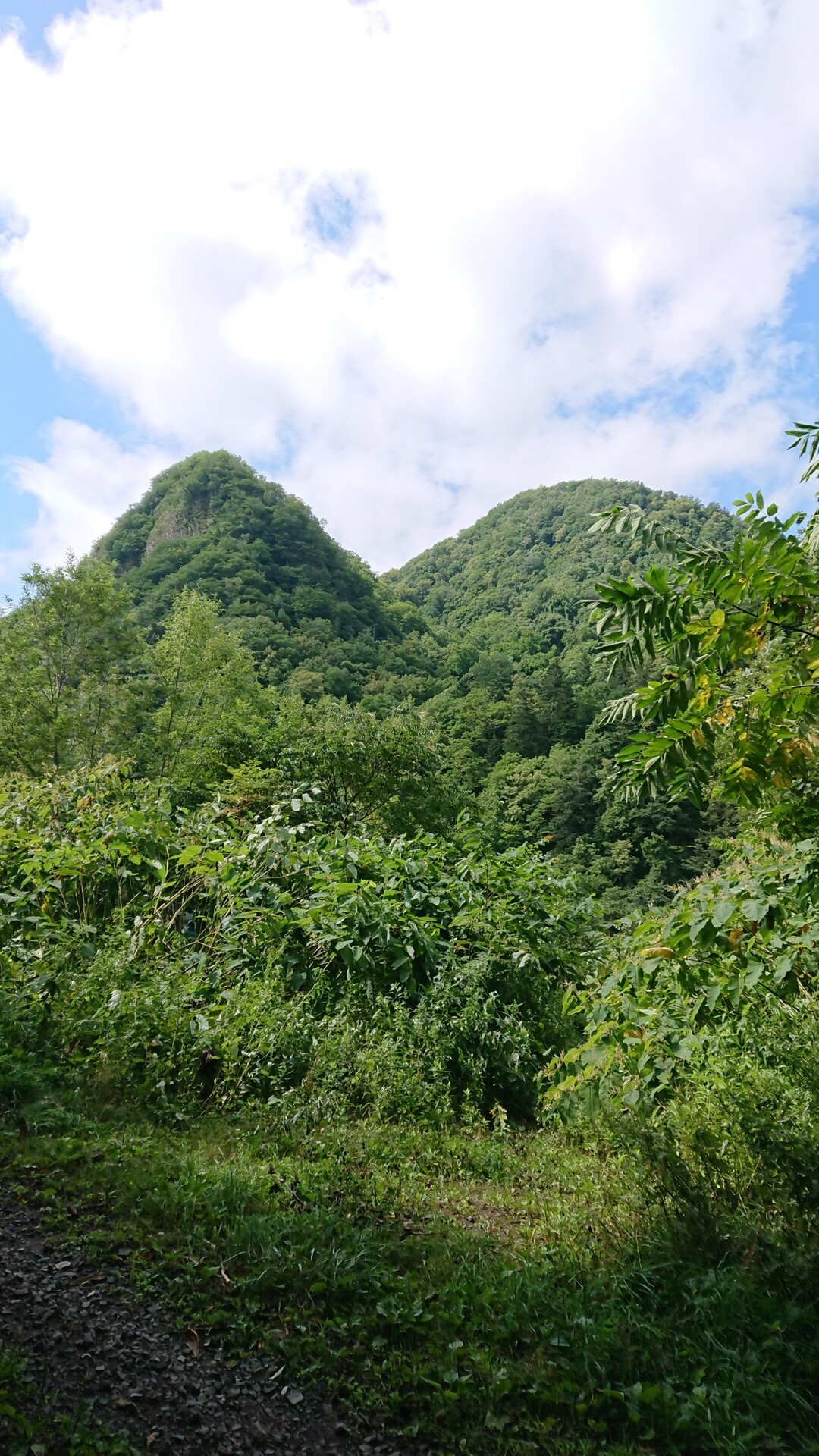 兜岩・兜峰 / pu_chanさんの豊平山（焼山）の活動データ | YAMAP / ヤマップ