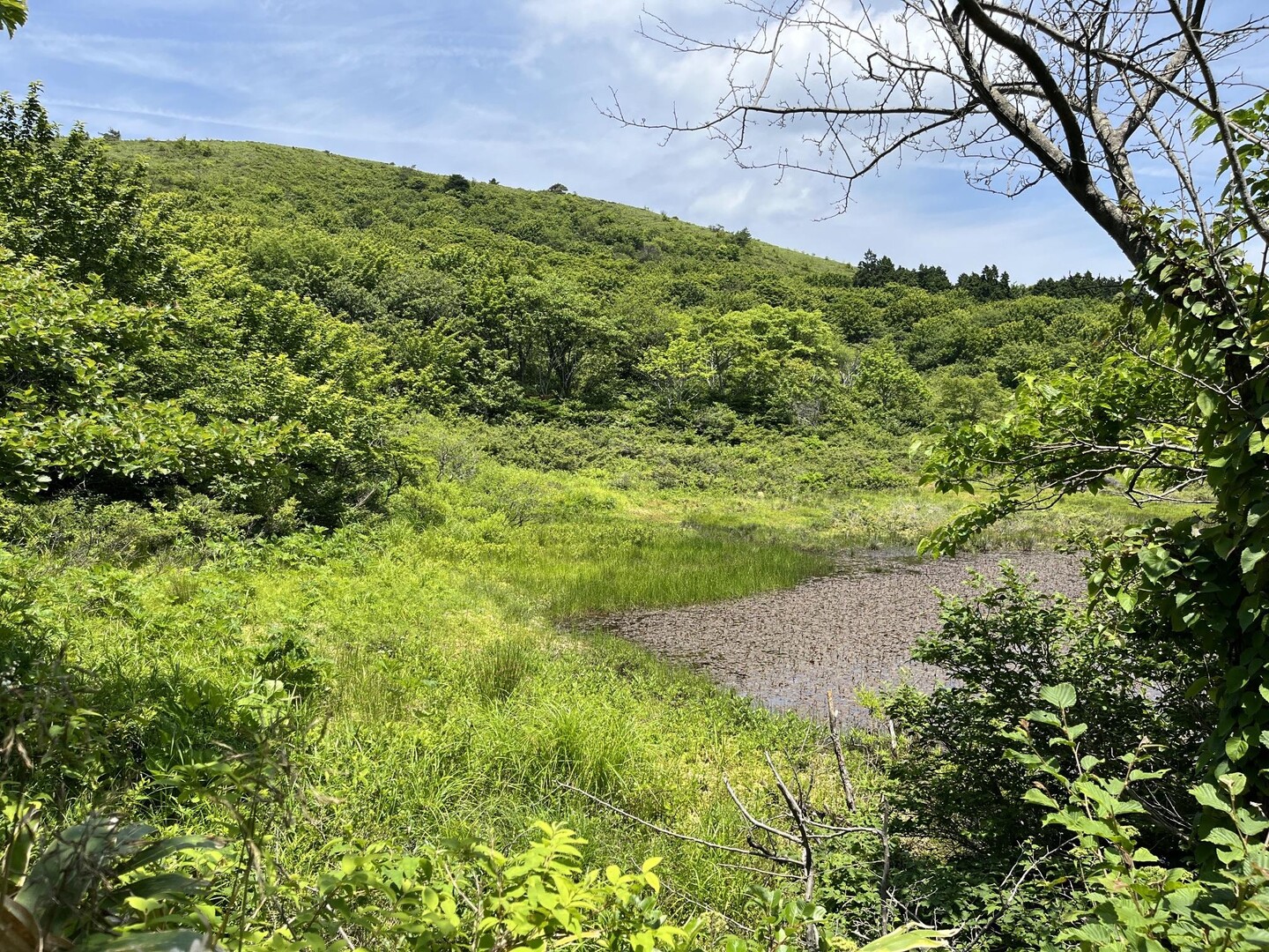 岩樋山・道後山 / momacさんの道後山・岩樋山の活動日記 | YAMAP / ヤマップ