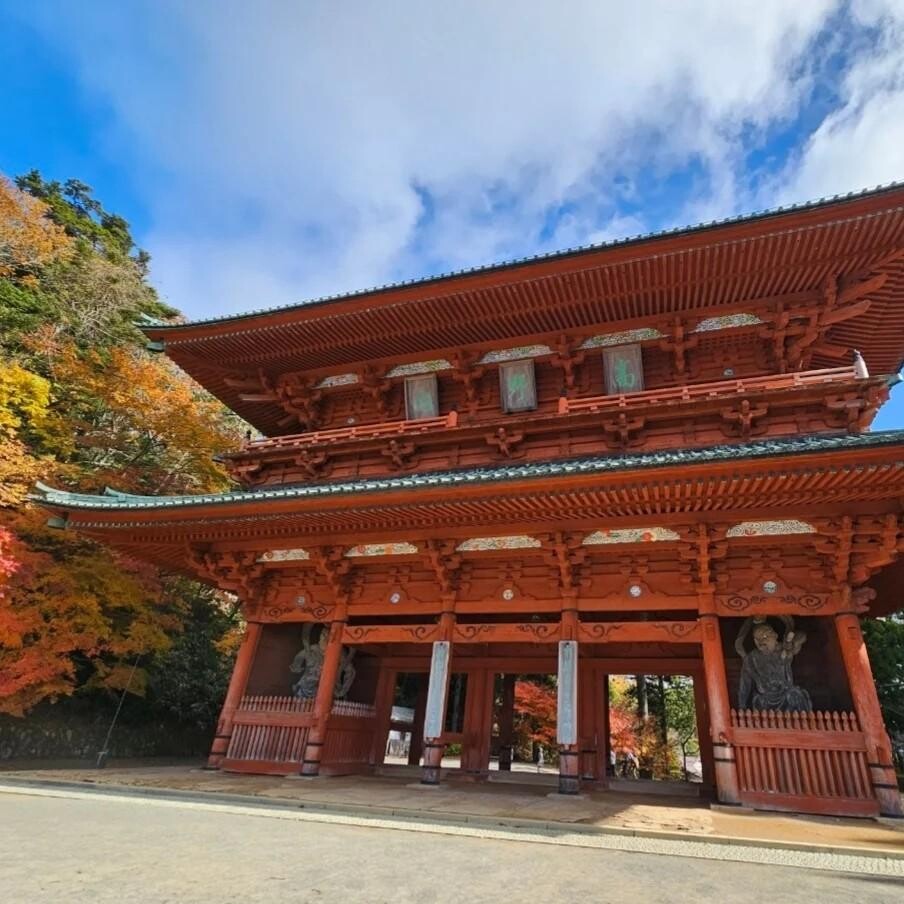 高野山-2023-11-25 / paoさんのウォーキングの活動データ | YAMAP / ヤマップ