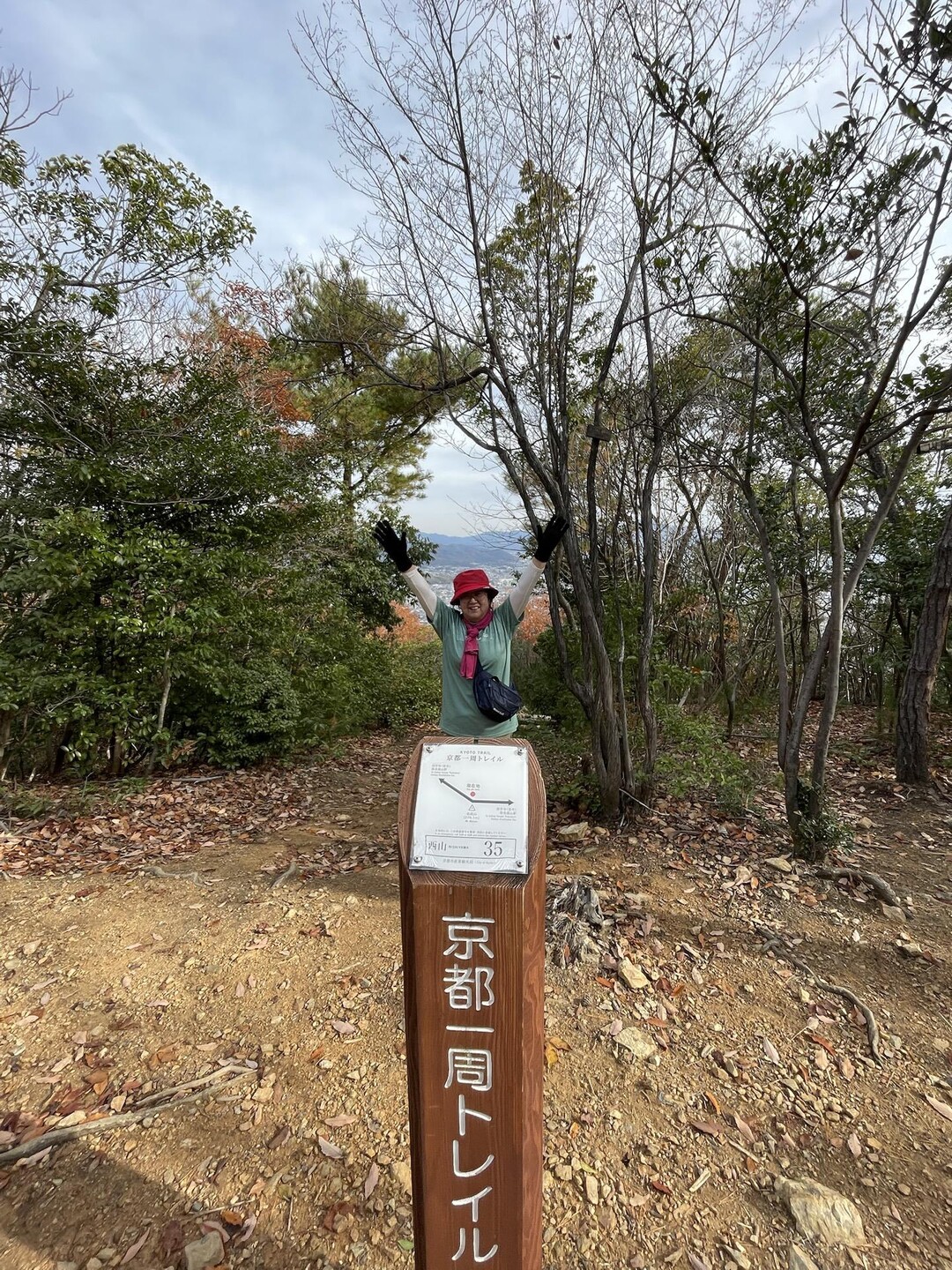 土産付き💉嵐山、松尾山 / ゆきuんこさんの沓掛山・みすぎ山・唐櫃越の活動データ | YAMAP / ヤマップ