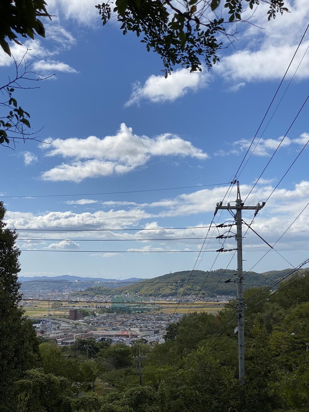 楢津山-2023-10-29 / YHやっさんさんの岡山市 北区の活動データ | YAMAP / ヤマップ