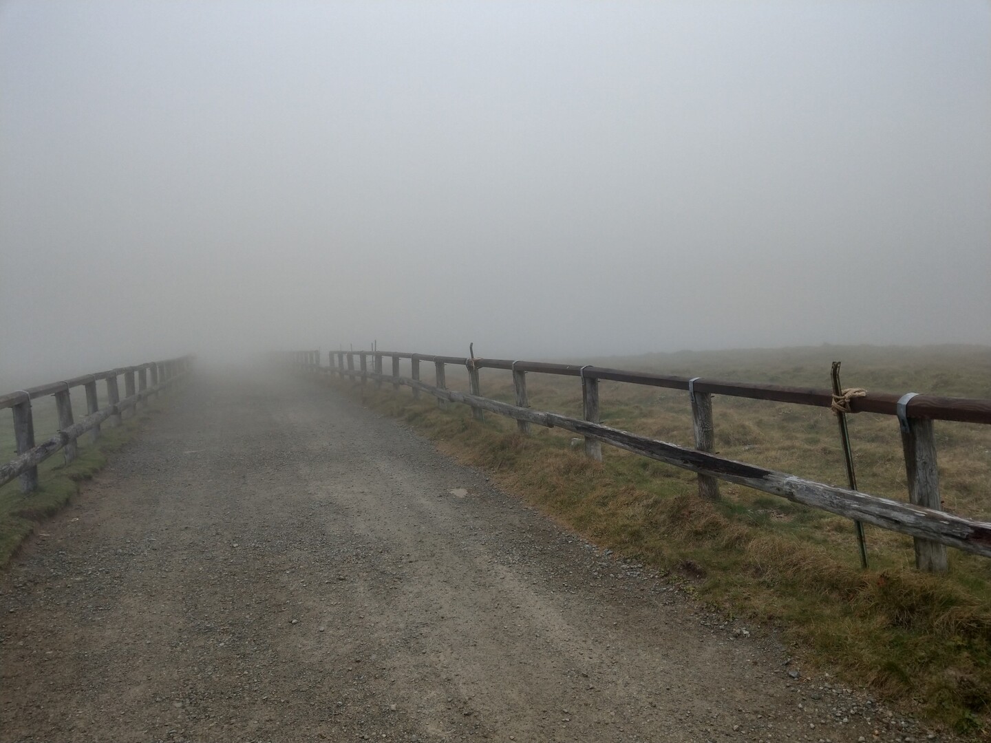 美ヶ原(王ヶ頭) / GaN2さんの美ヶ原の活動データ | YAMAP / ヤマップ