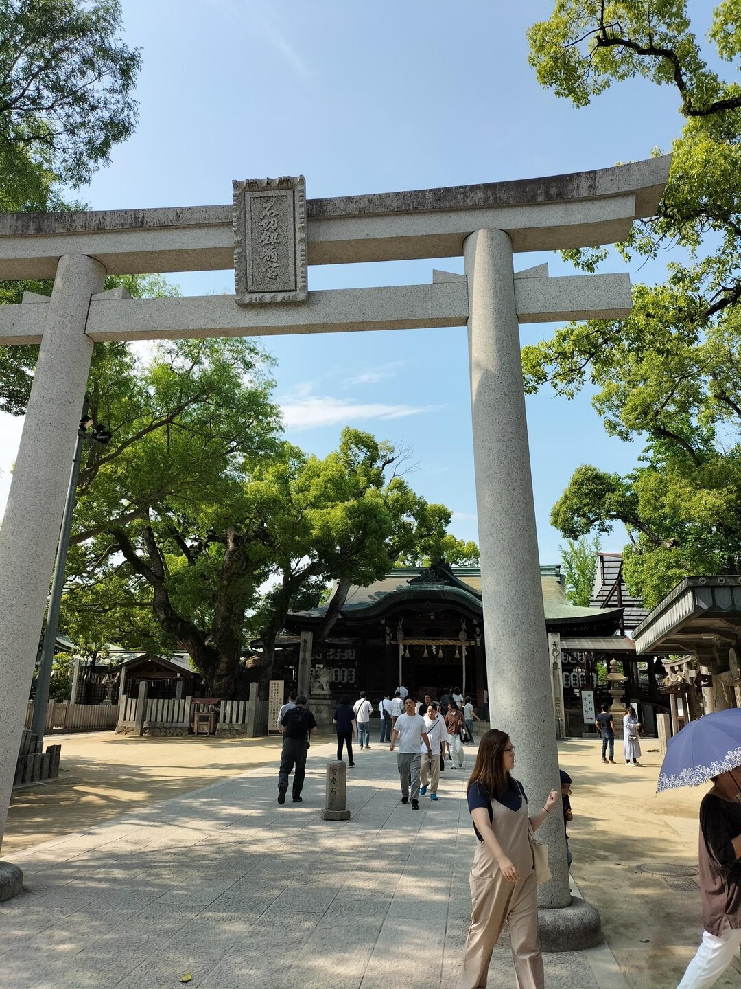 石切山-2024-06-02 / yamaneさんの生駒山・神津嶽・大原山の活動データ | YAMAP / ヤマップ