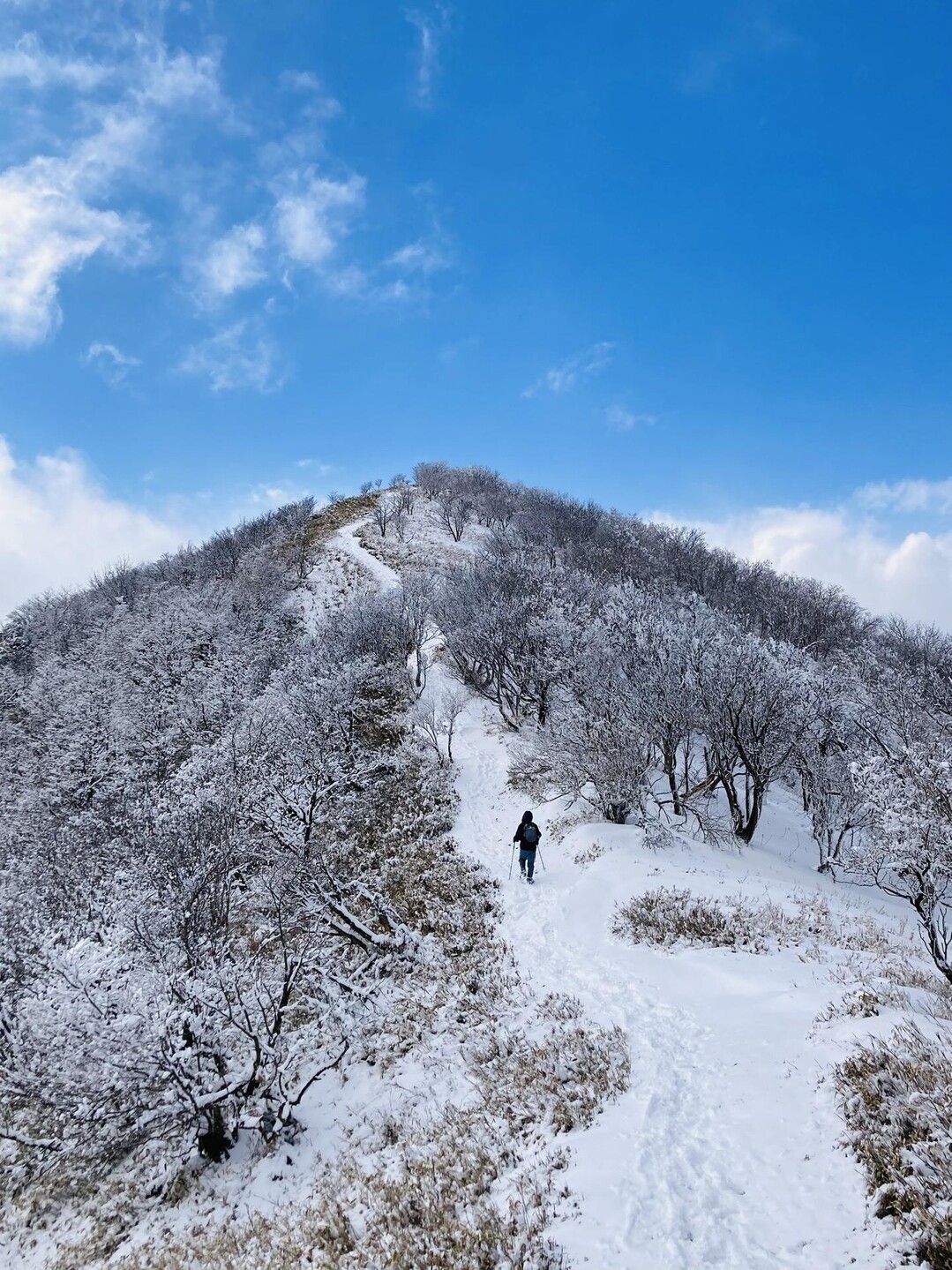 降雪後の那岐山・滝山縦走 / masa599さんの那岐山・滝山・広戸仙の活動データ | YAMAP / ヤマップ