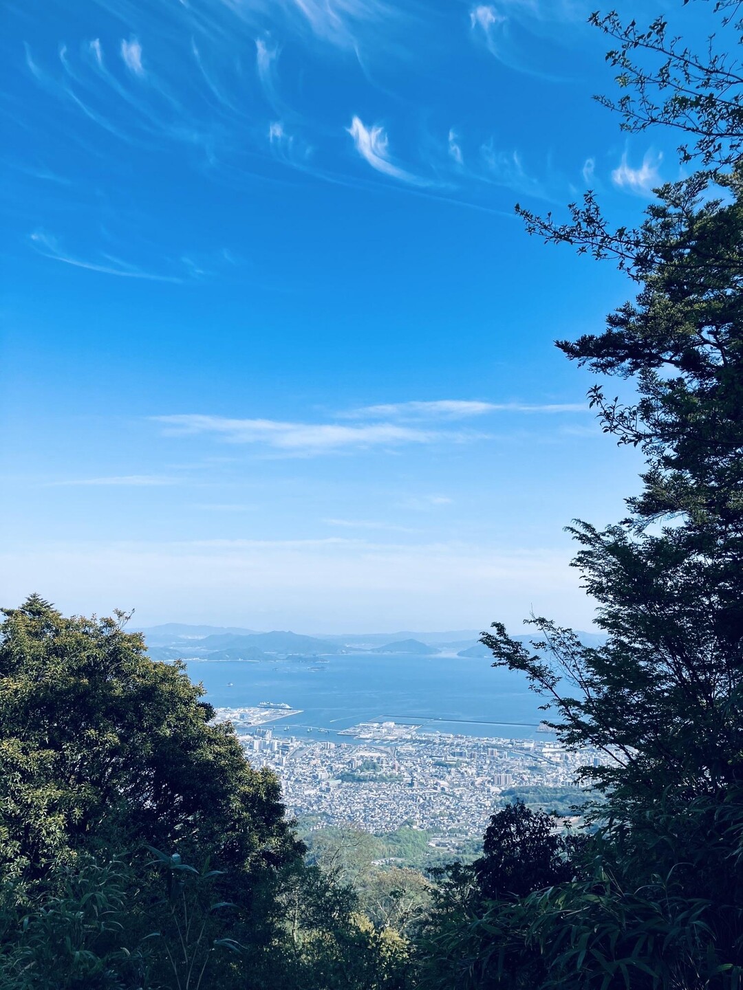 リハビリ5 極楽寺山 / kamexさんの極楽寺山の活動データ | YAMAP / ヤマップ