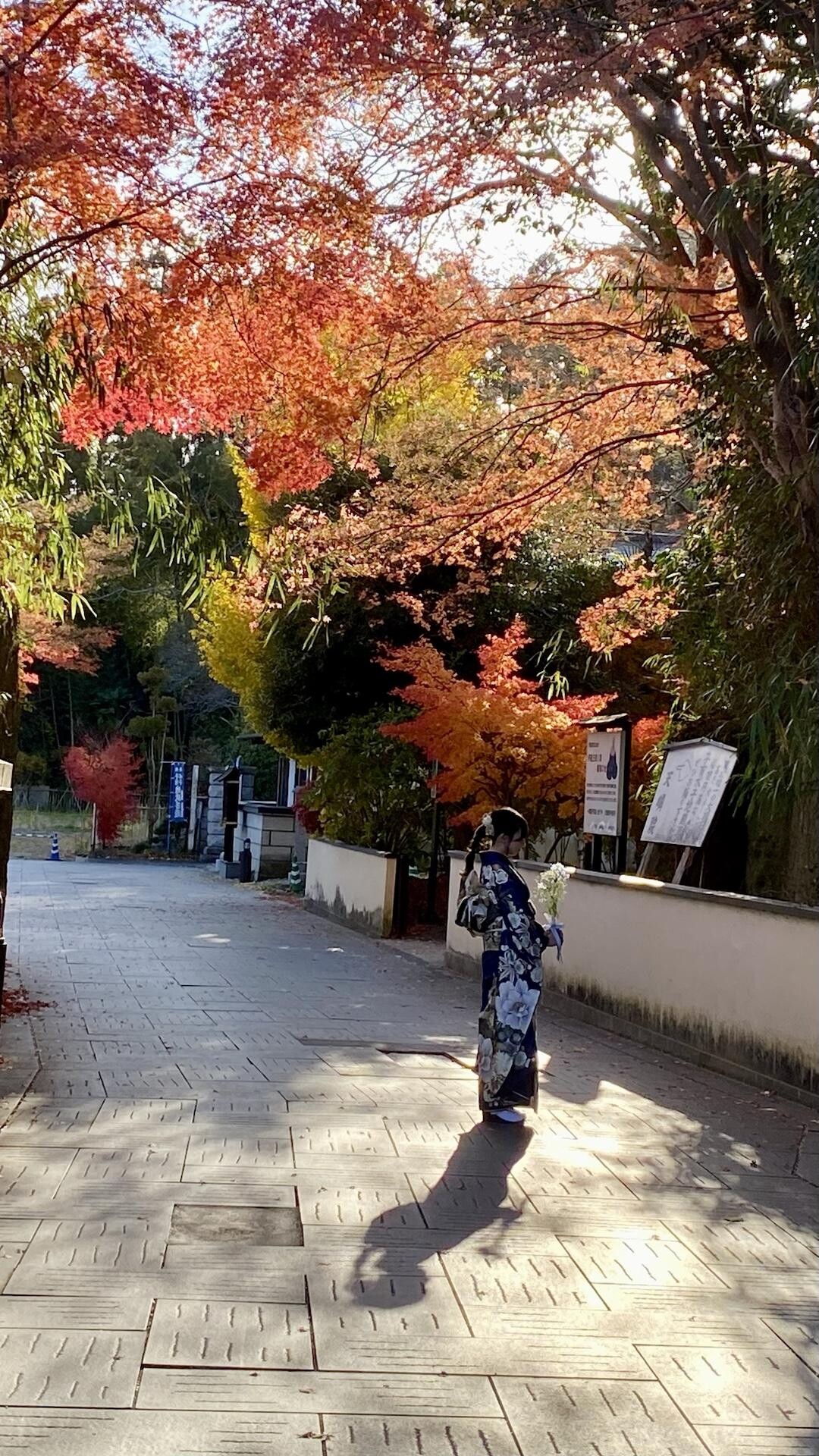 松島で成人式の前撮り📸 早いもので長... / koroさんのモーメント | YAMAP / ヤマップ