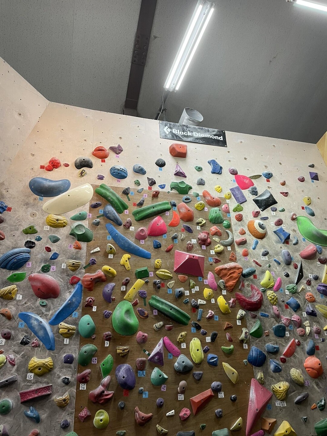 R5.6.4 今日は夜勤明け🌙 です☺... / ·̩͙꒰ঌ hiro‪ ·͜·ᰔᩚさんのモーメント | YAMAP / ヤマップ