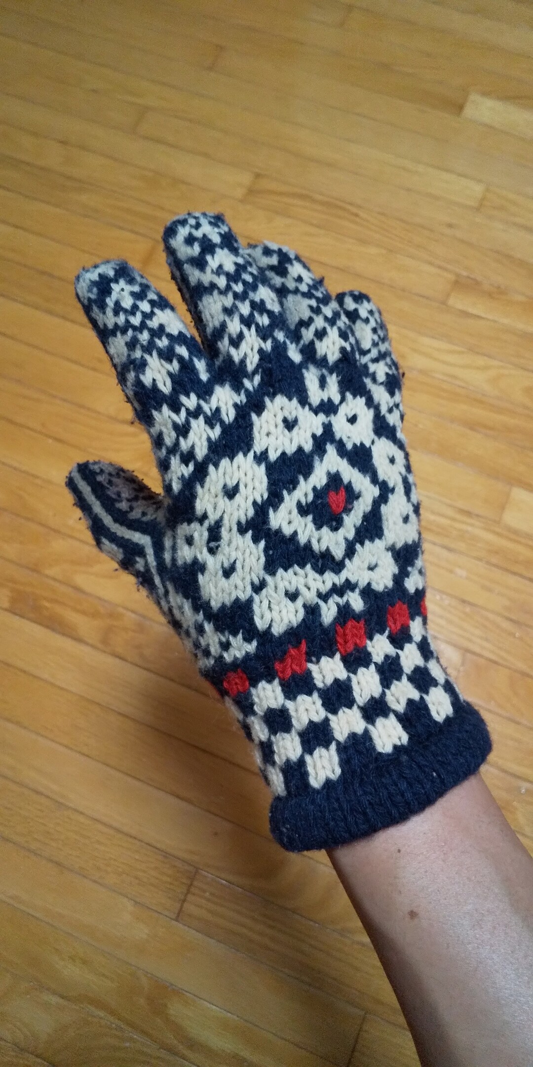 この手袋は～？あれっ😳⁉️ ≪雪降ろし... / daitenさんのモーメント | YAMAP / ヤマップ