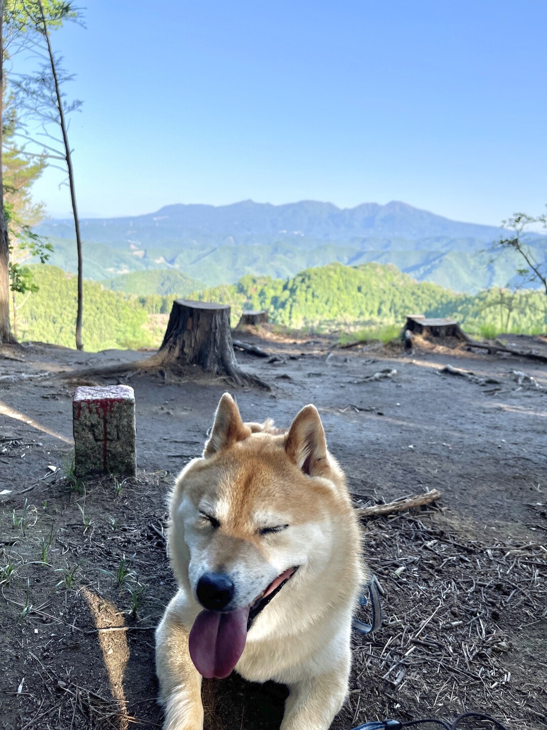 Hideyan🐶さんの投稿したフィールドメモ | YAMAP / ヤマップ