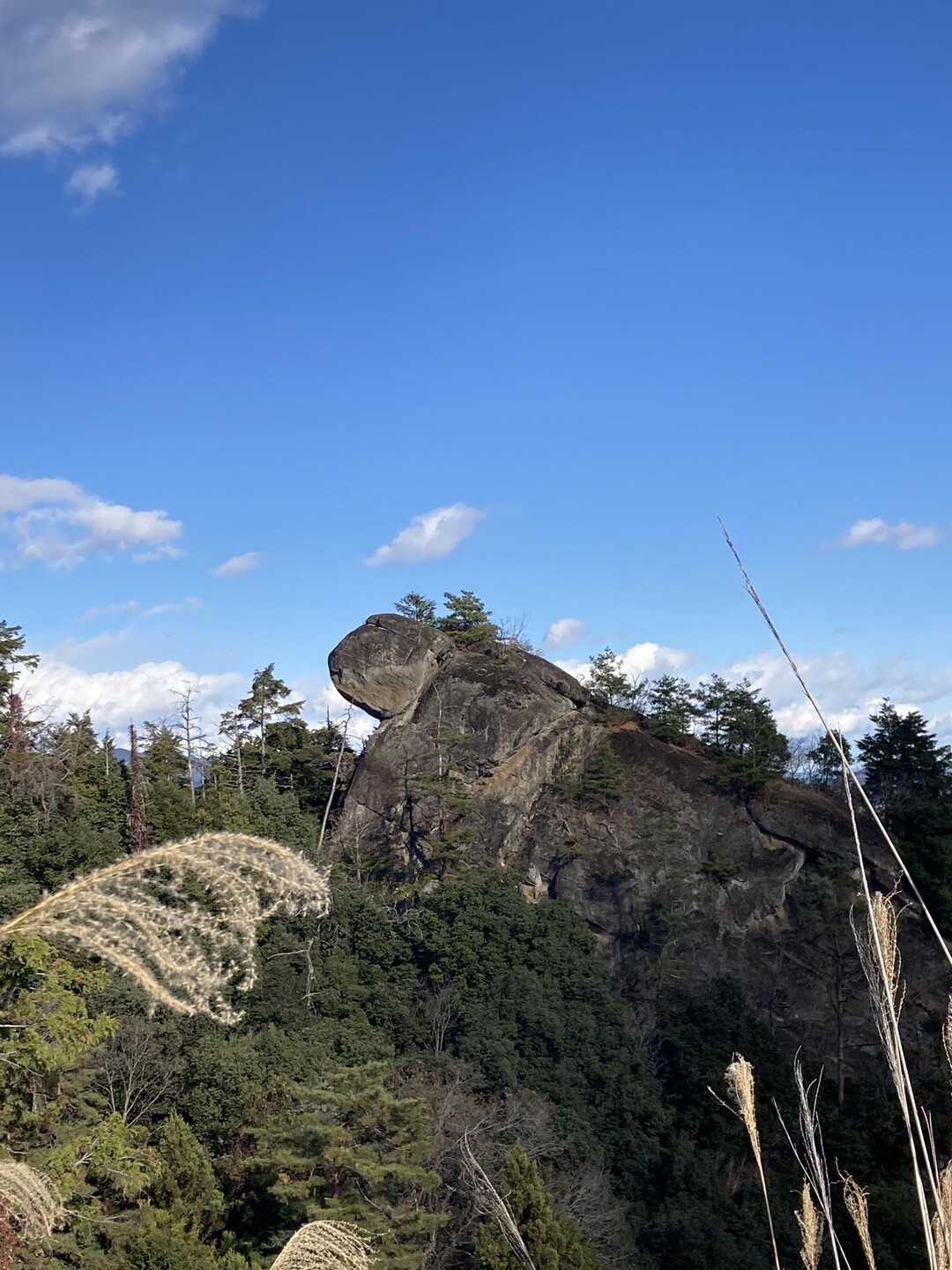 般若山・一ノ峰・二ノ峰・釜の沢三峰・四ノ峰・釜ノ沢五ノ峰・中ノ沢ノ頭・竜神山 / kazuさんの小鹿野アルプス・釜ノ沢五峰・般若山の活動データ | YAMAP / ヤマップ