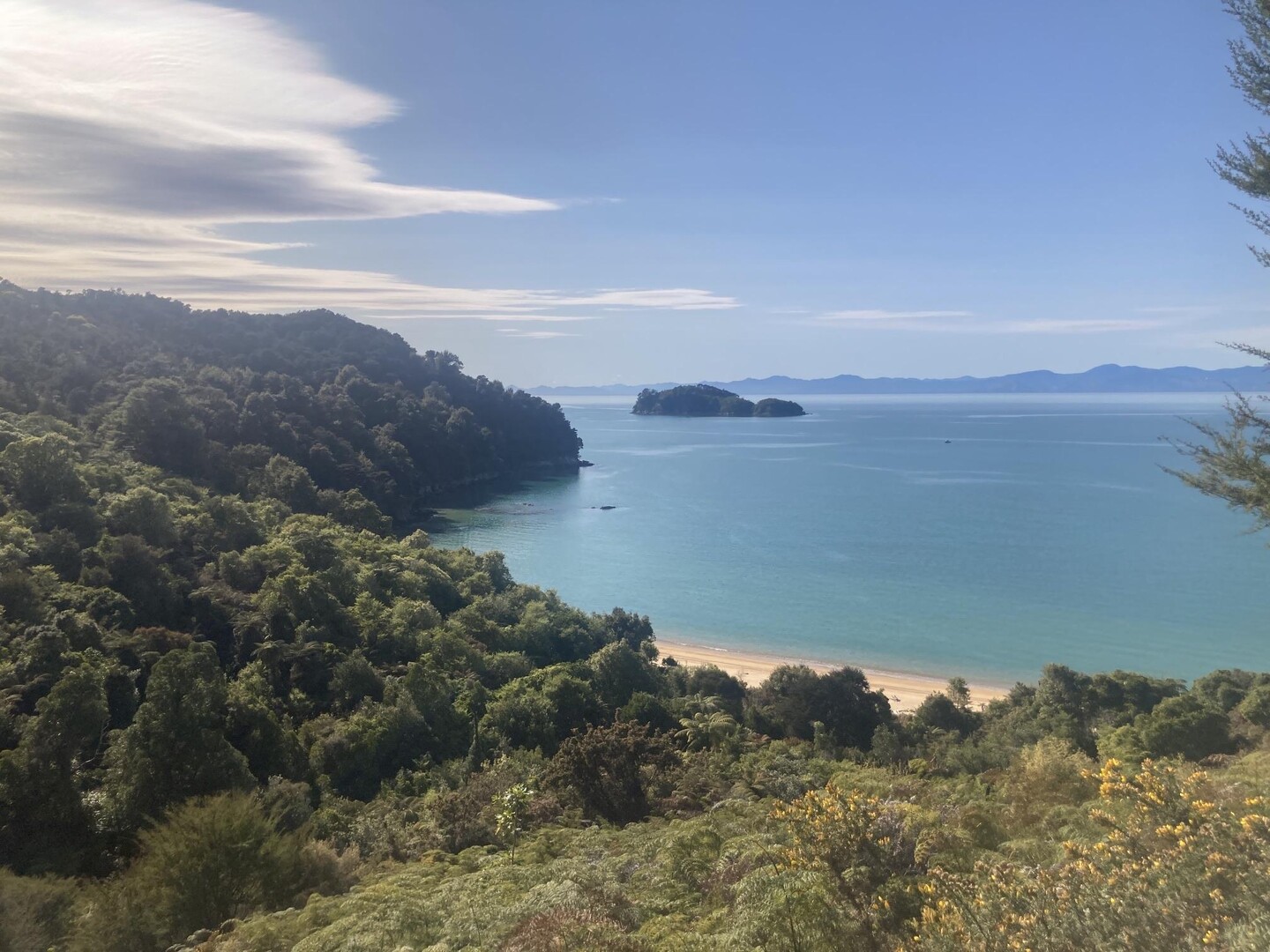 🇳🇿Abel Tasman track / あかりさんのウォーキングの活動データ | YAMAP / ヤマップ