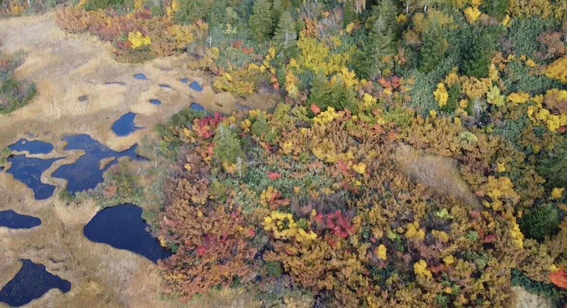 紅葉ツーリング🍁 / Re:ゼロから始まる山生活さんの八甲田山・高田大岳・雛岳の活動データ | YAMAP / ヤマップ