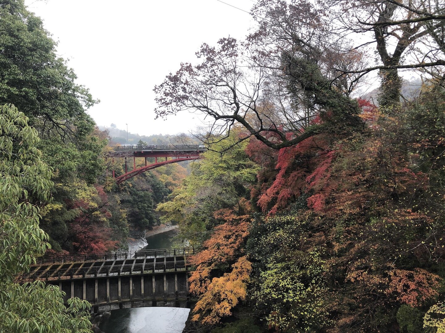 猿橋。日本三大奇矯だそうです。生憎の雨で... / ゆうちゃんさんのモーメント | YAMAP / ヤマップ