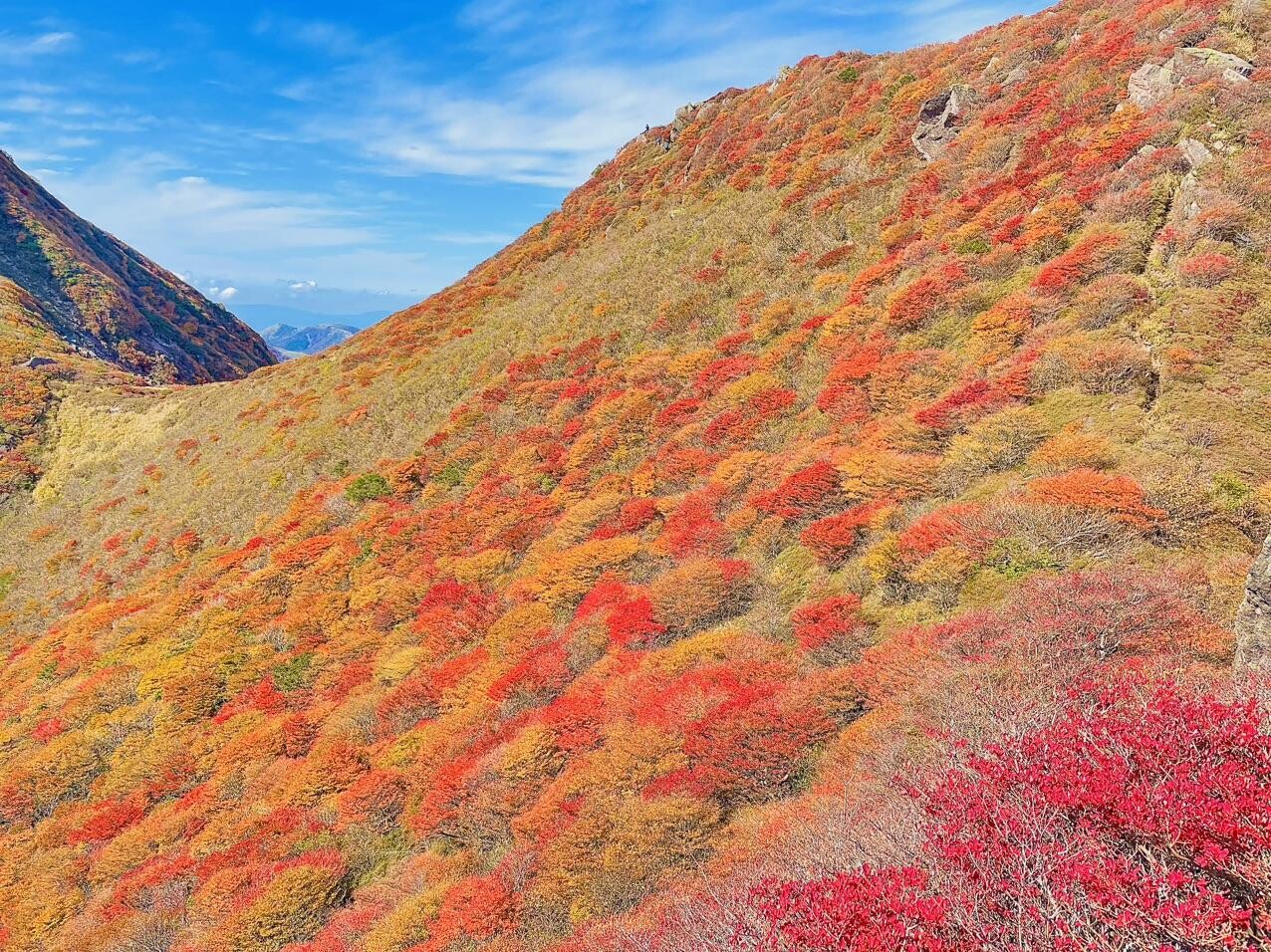 Miwaのページ | YAMAP / ヤマップ