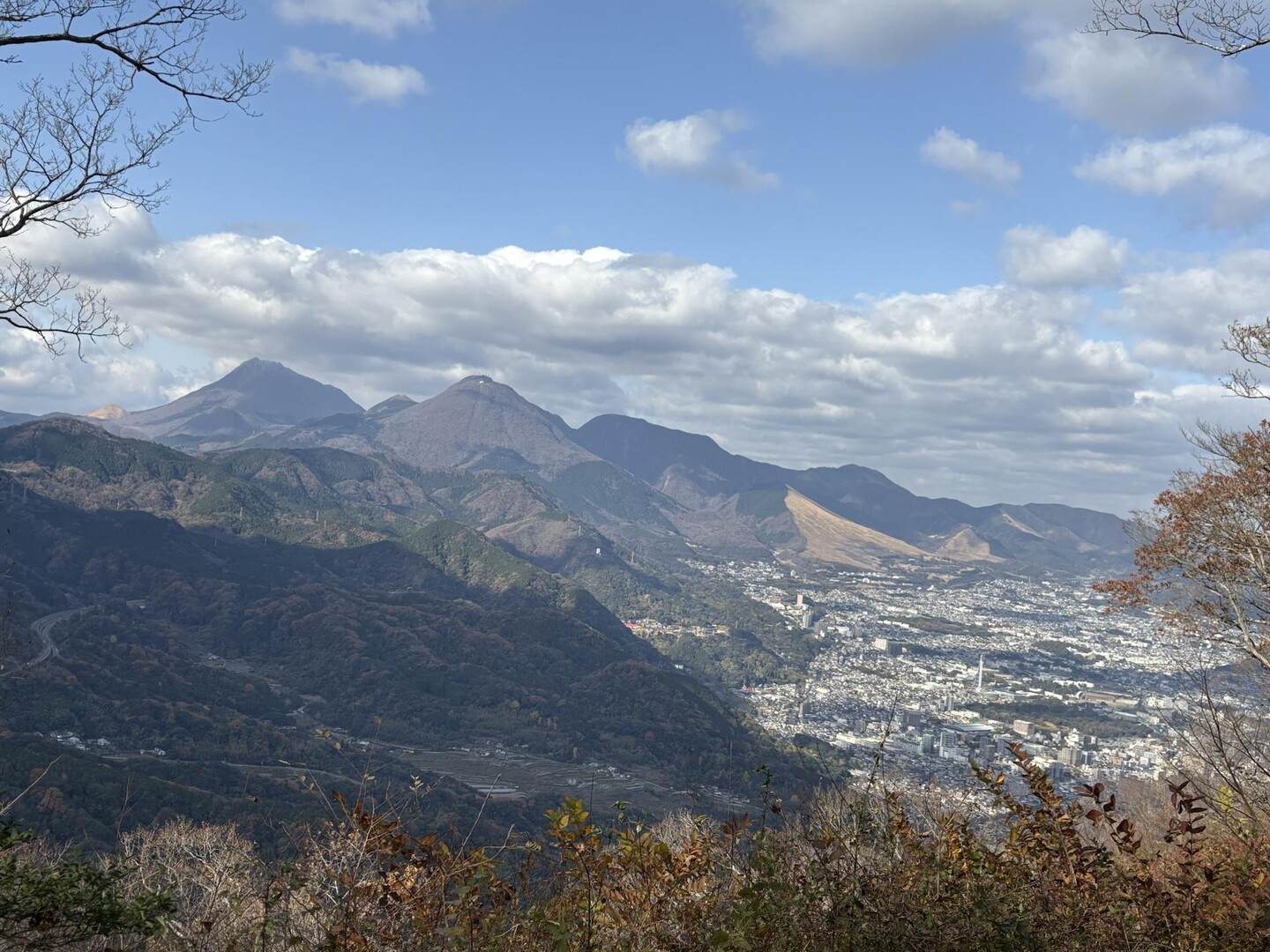 高崎山 / mocoさんの高崎山の活動日記 | YAMAP / ヤマップ
