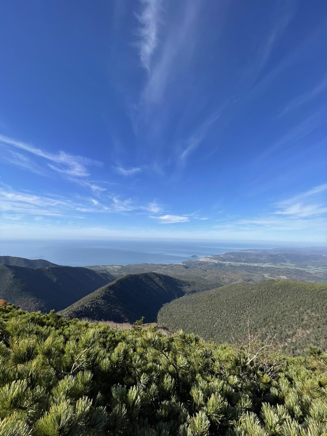 ピンネシリ・吉田岳・アポイ岳 / Wakaさんのアポイ岳の活動データ | YAMAP / ヤマップ