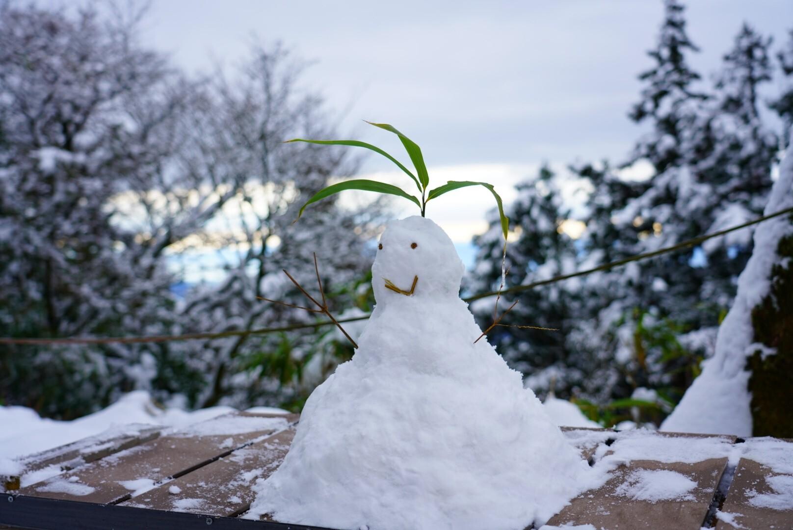 三度の飯より宝満山🔥🔥㉒ / CB1300SBさんの宝満山・三郡山・若杉山の活動データ | YAMAP / ヤマップ