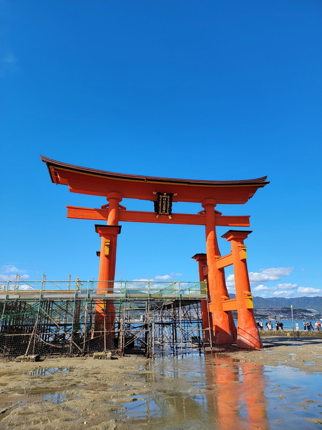 安芸の宮島 / PIPINさんの宮島（厳島）・弥山の活動データ | YAMAP / ヤマップ