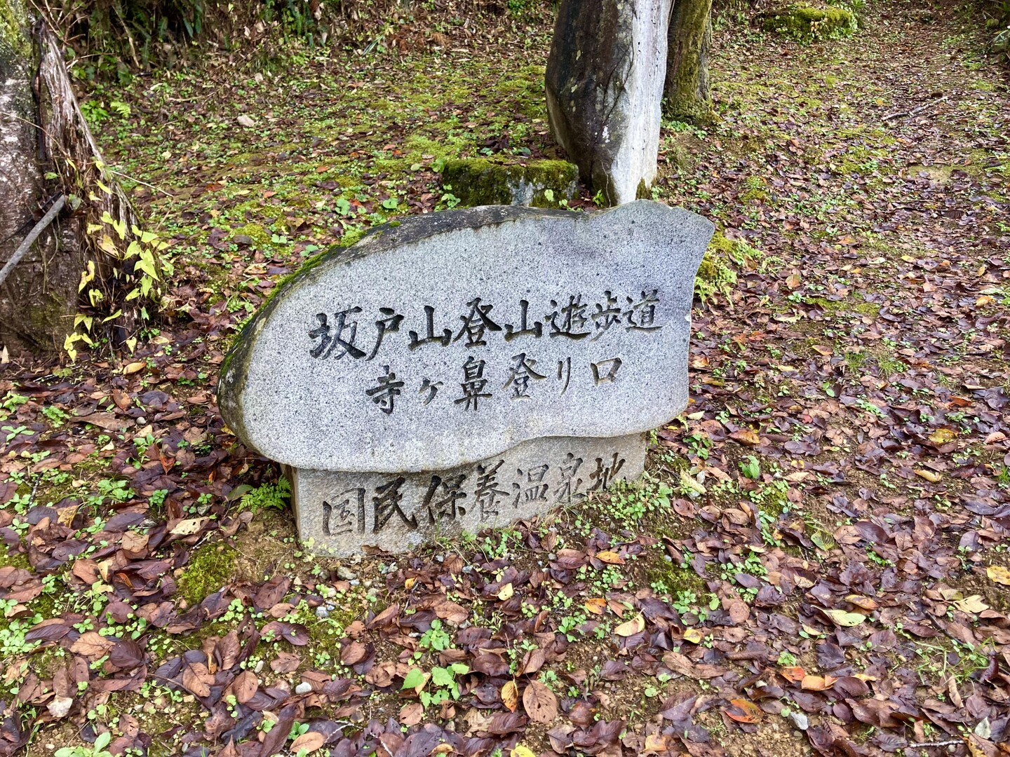 坂戸山37 / karashiさんの坂戸山の活動データ | YAMAP / ヤマップ