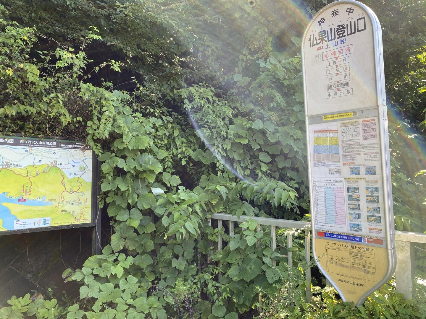 ヒルに負けた…高取山 / elieeさんの仙洞寺山・南山・津久井堂所山の活動データ | YAMAP / ヤマップ