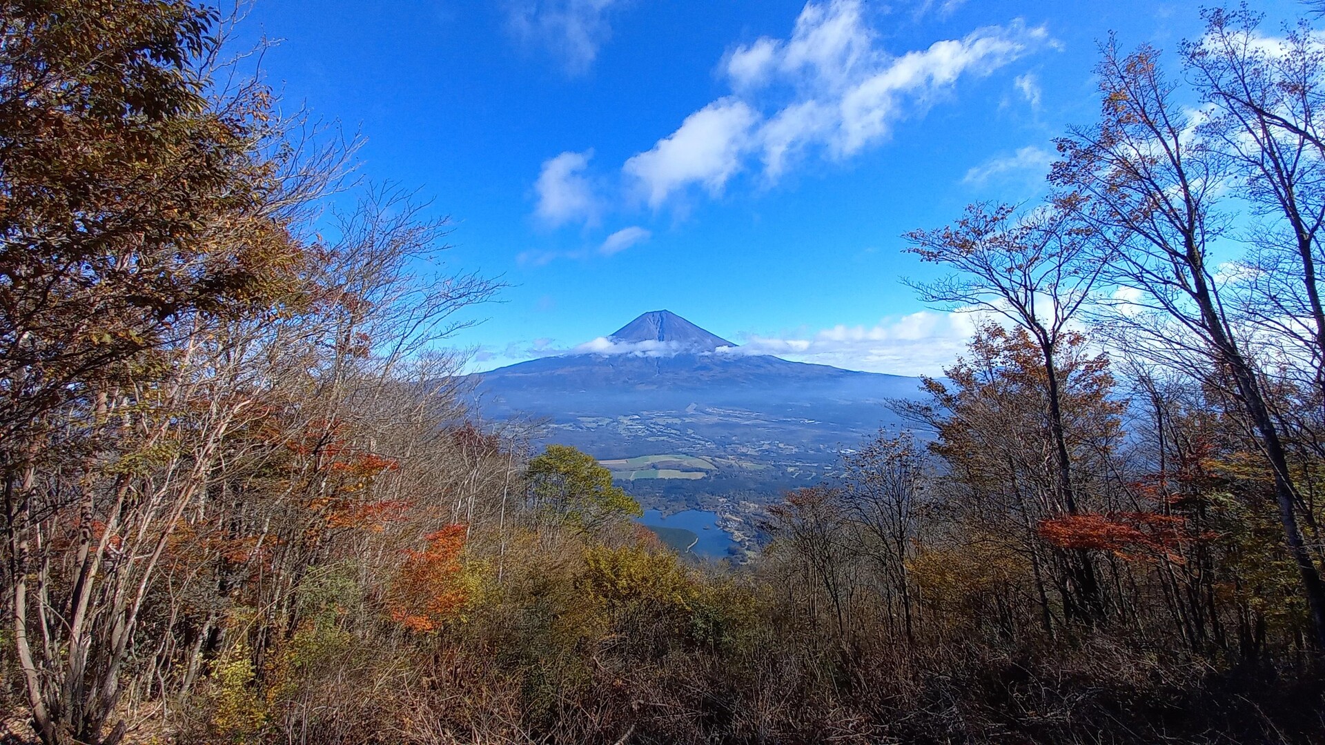 長者ヶ岳 / ken000さんの長者ヶ岳・天子ヶ岳の活動データ | YAMAP / ヤマップ
