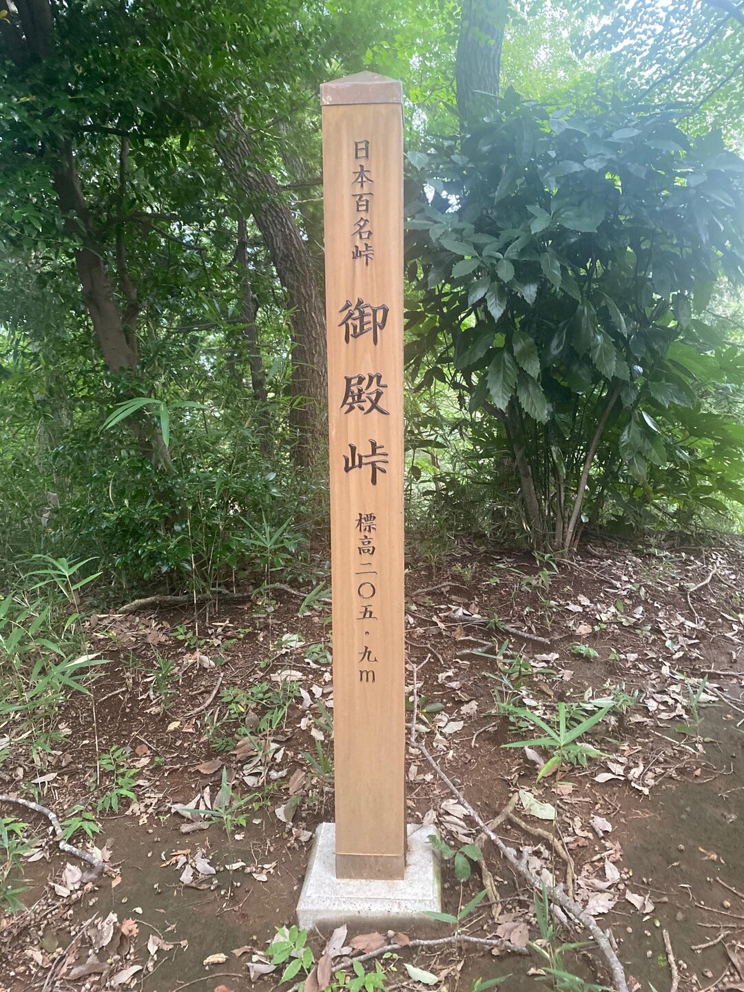 つつじ山・大塚山・bar 八王子低山🔺ピーク稼ぎ🏃 / seedsさんの七国山の活動データ | YAMAP / ヤマップ