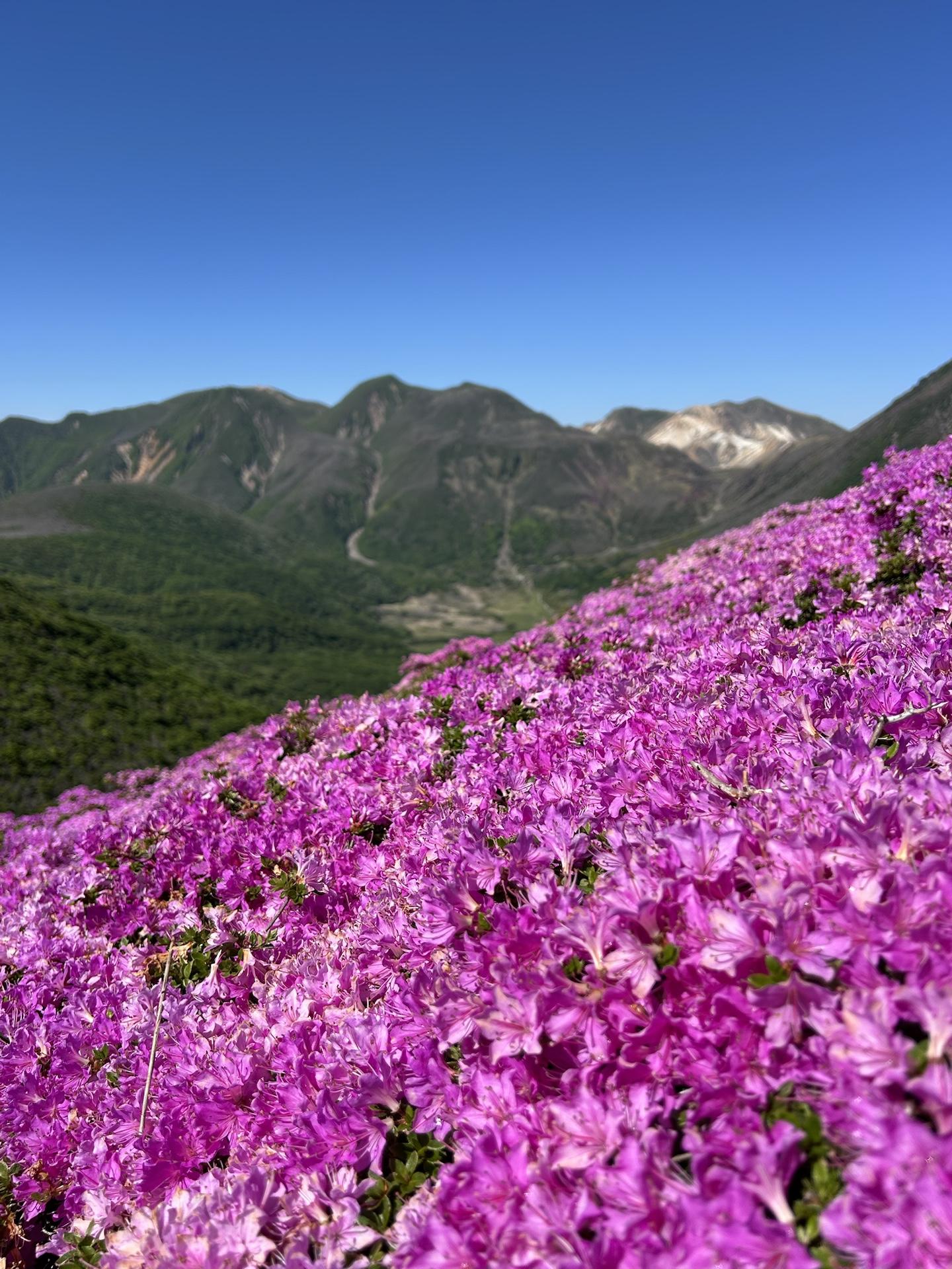 平治岳 / Sa-yu-rinさんの九重山（久住山）・大船山・星生山の活動データ | YAMAP / ヤマップ