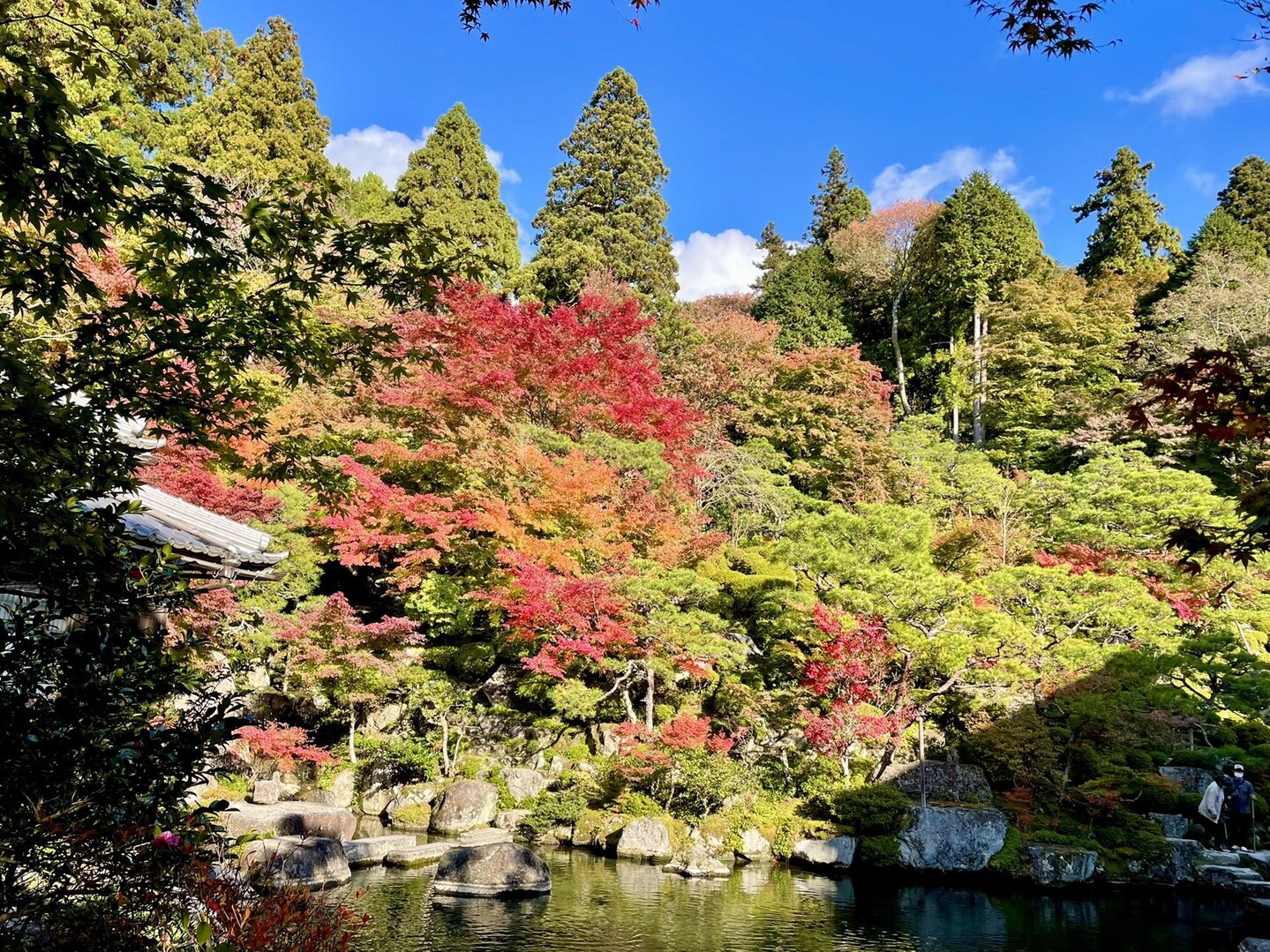子供の頃、夏は毎年おばあちゃん家で過ごし... / HIKOさんのモーメント | YAMAP / ヤマップ