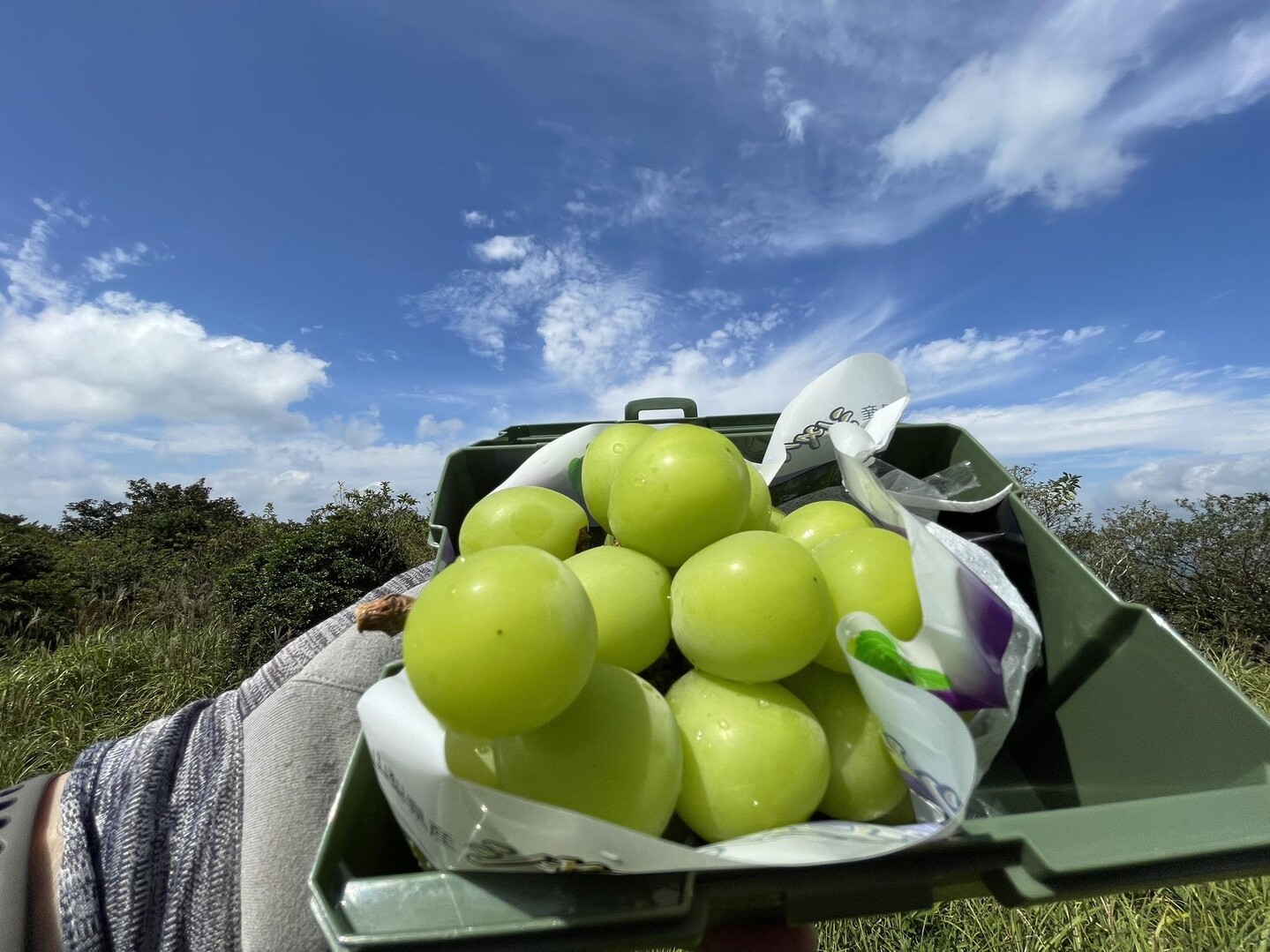 尾ノ岳 / kazukoさんの尾ノ岳の活動データ | YAMAP / ヤマップ